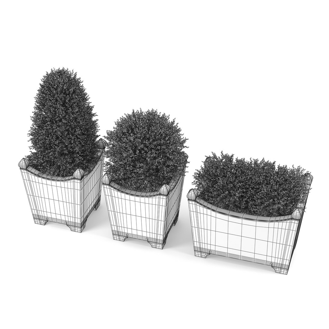 3D model boxwood - TurboSquid 1250692