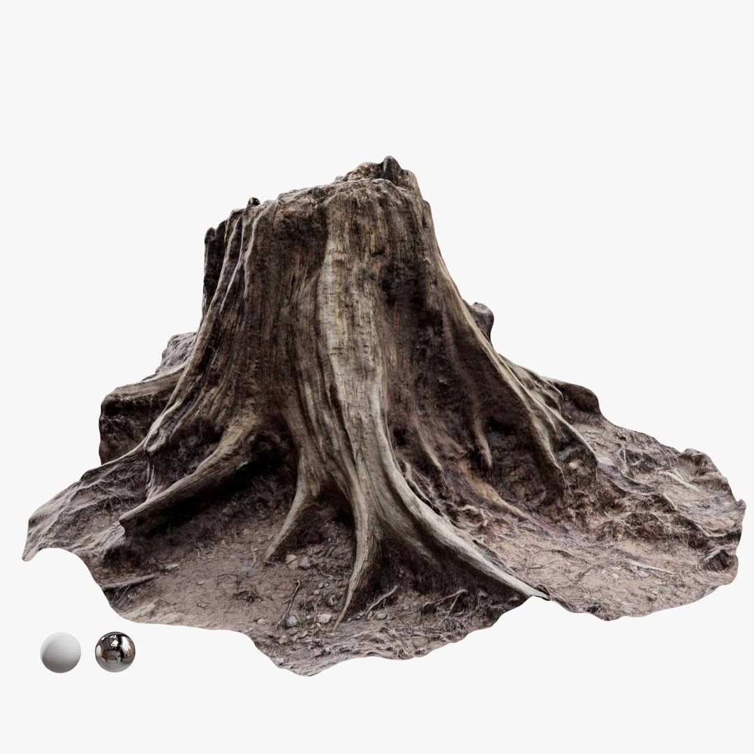 3D Tree Trunk Log Model - TurboSquid 2281170