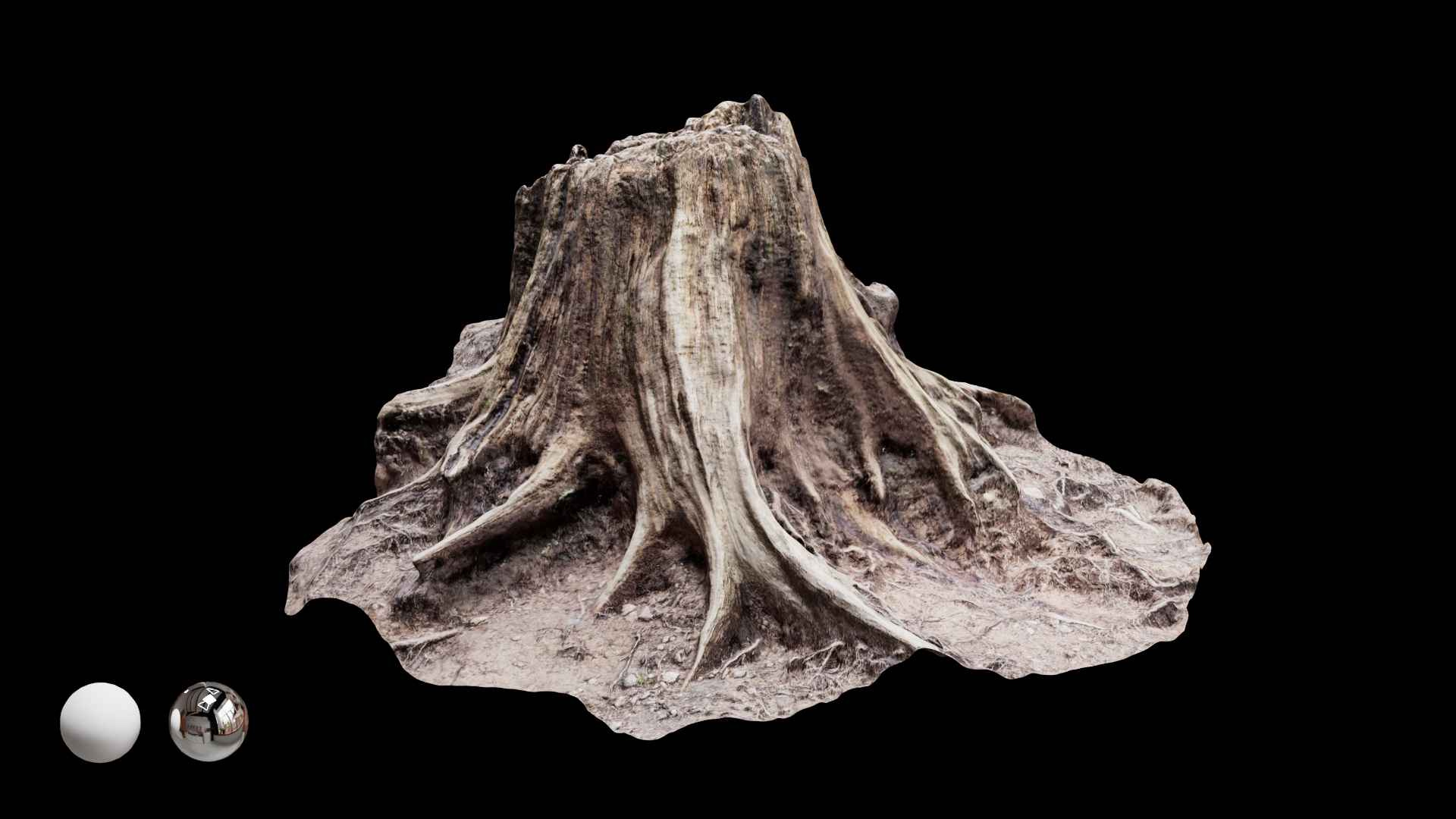 3D Tree Trunk Log Model - TurboSquid 2281170