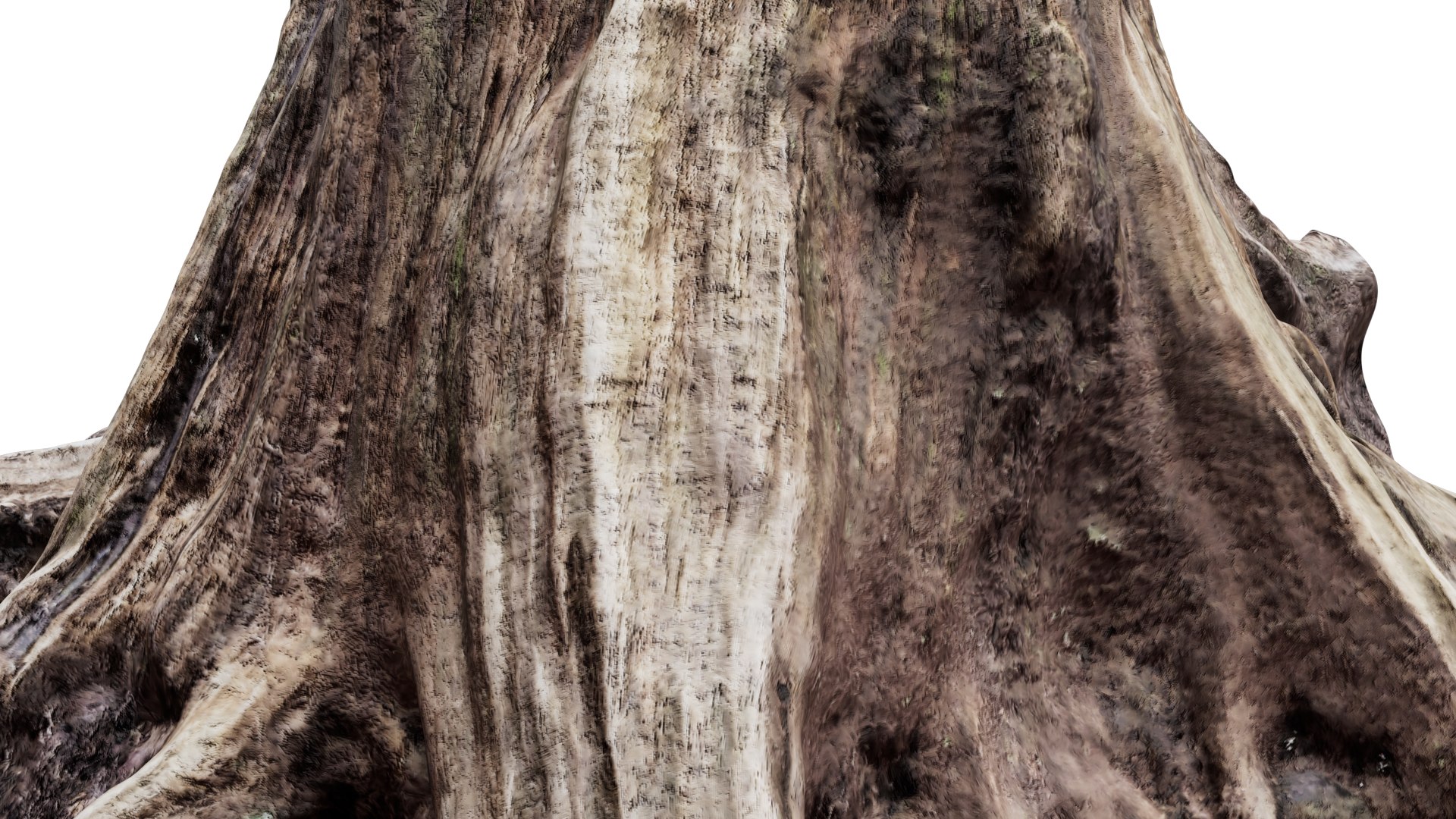 3D Tree Trunk Log Model - TurboSquid 2281170