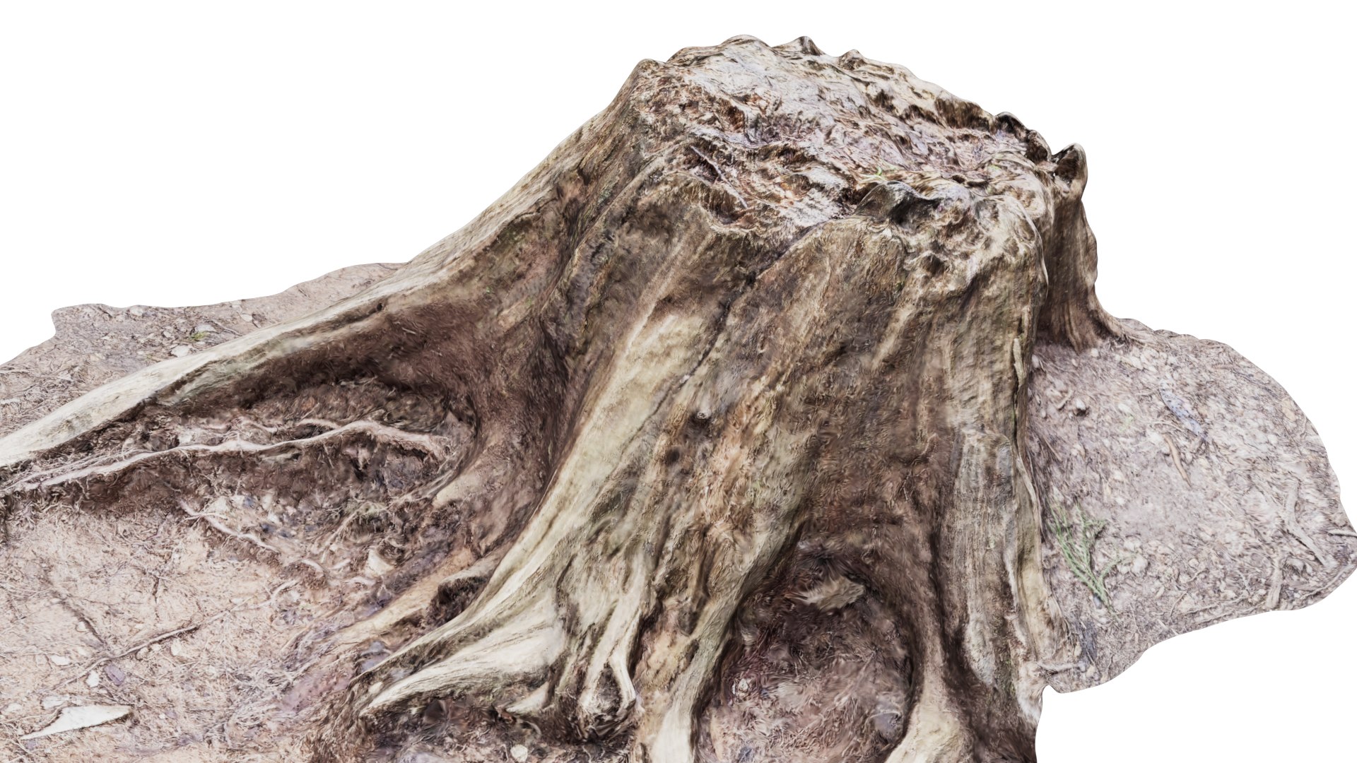 3D Tree Trunk Log Model - TurboSquid 2281170
