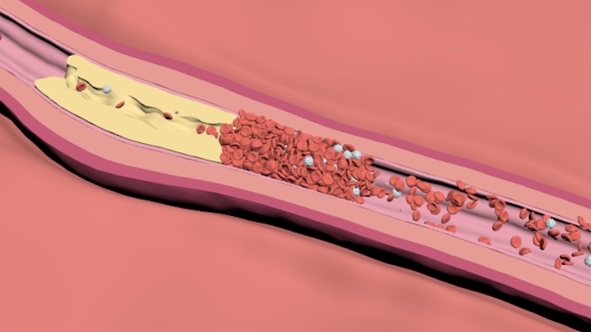 3D bloodstream animation - TurboSquid 1321441