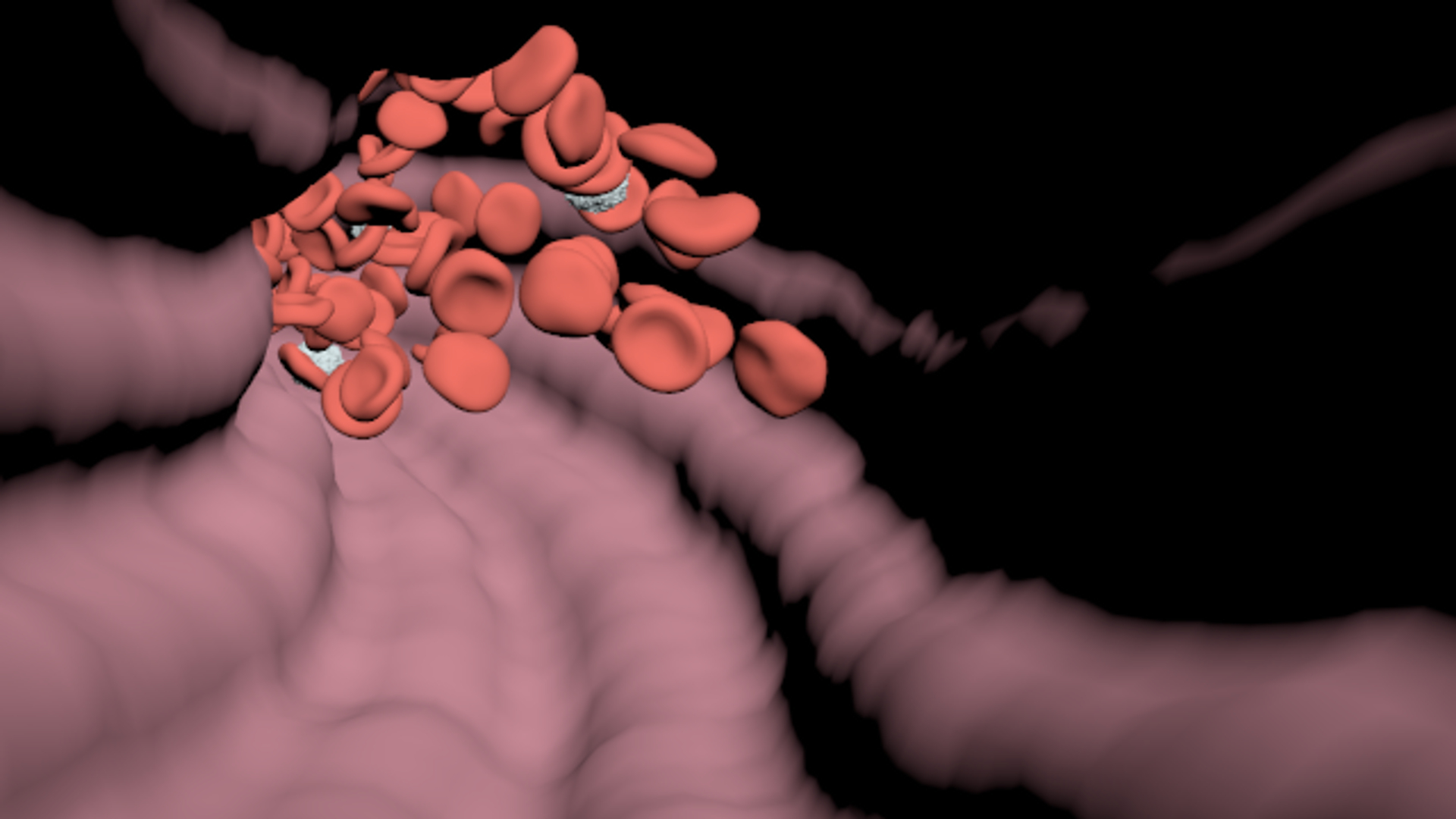 3D bloodstream animation - TurboSquid 1321441