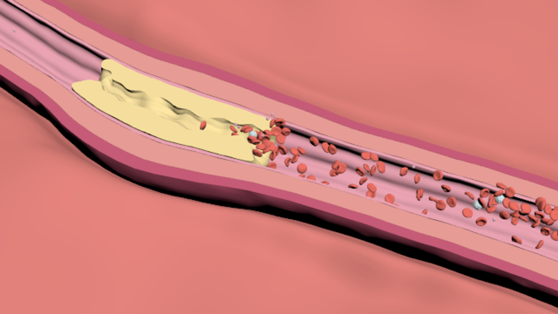 3D bloodstream animation - TurboSquid 1321441