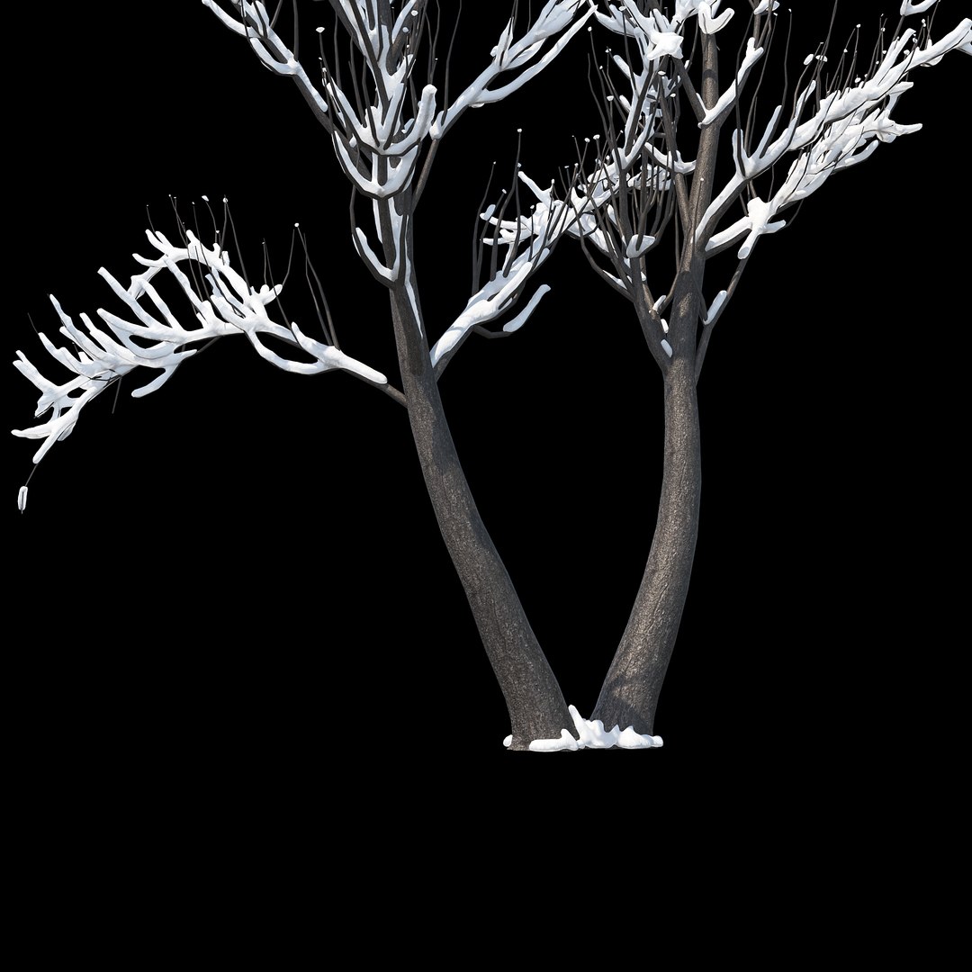 Winter Tree 027 Model - TurboSquid 1234798