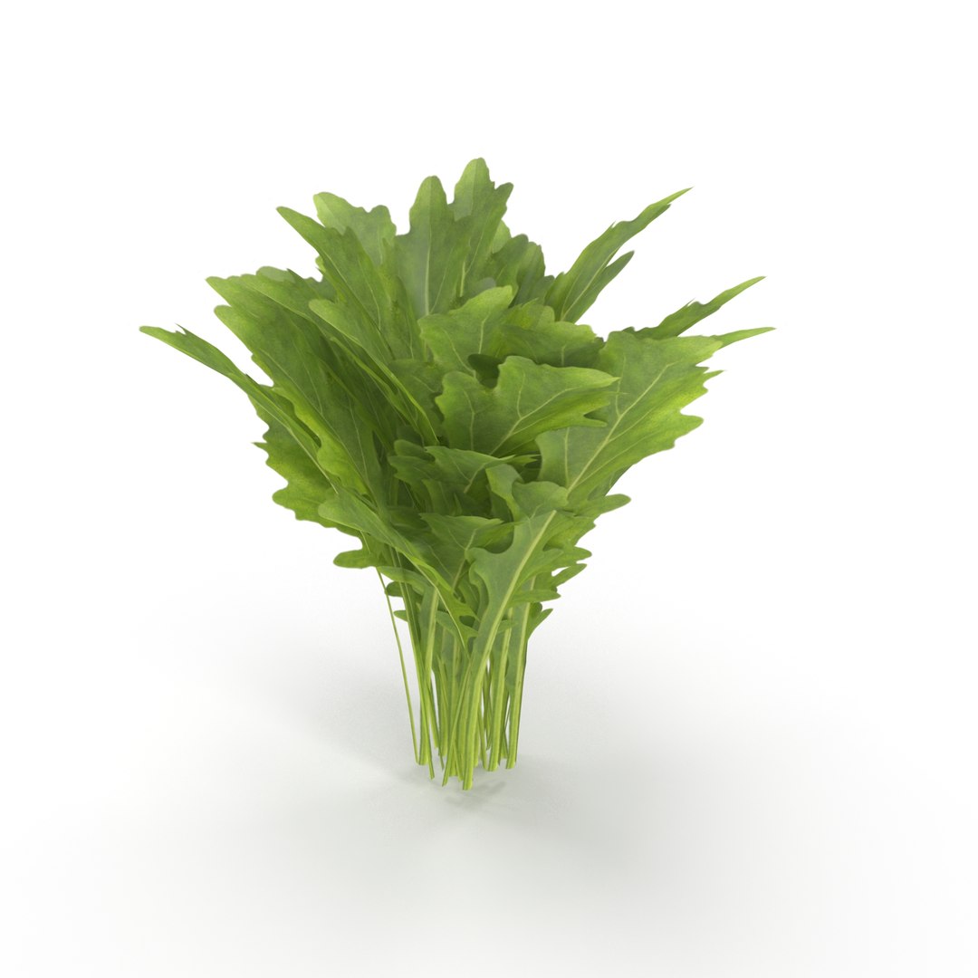 3D Arugula Bunch - TurboSquid 1515627