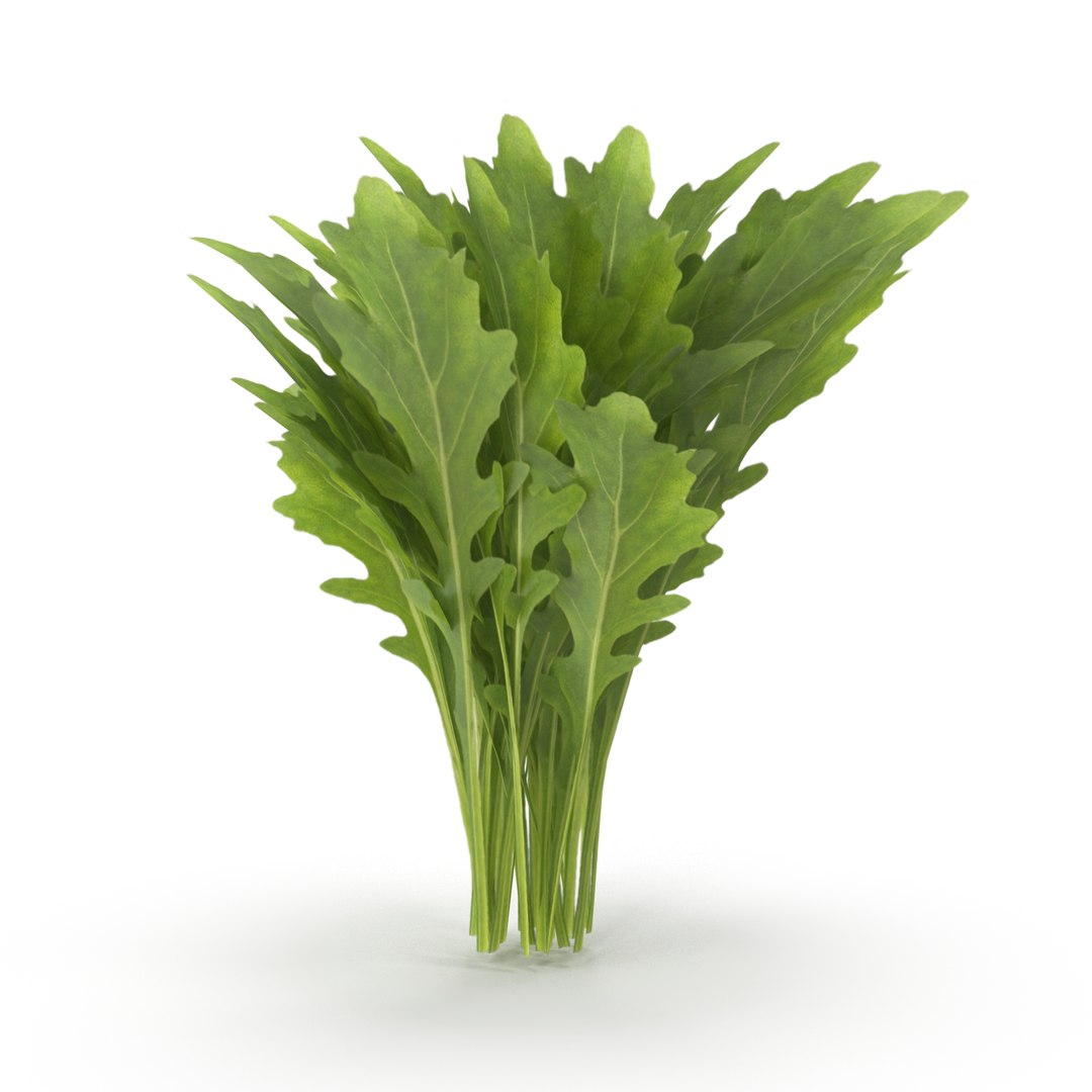 3D Arugula Bunch - TurboSquid 1515627