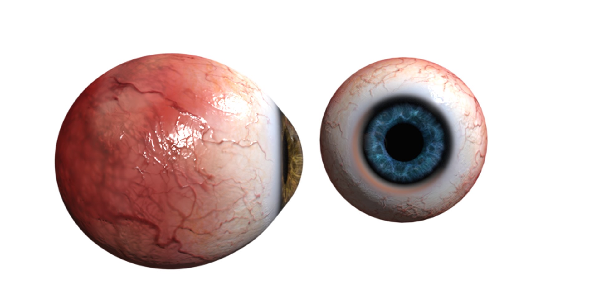 3D Eye Pupil - TurboSquid 1211147
