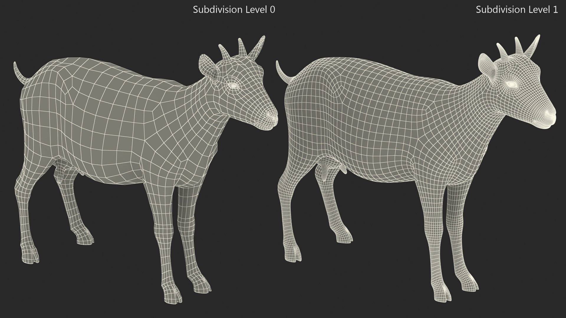 Dairy Goat Brown Rigged For Modo 3D Model - TurboSquid 2006675