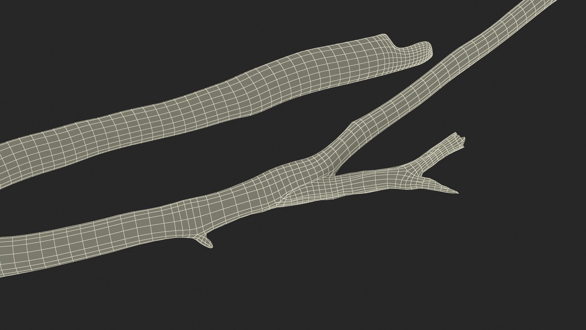 Dry Branch 3D Model - TurboSquid 2274439