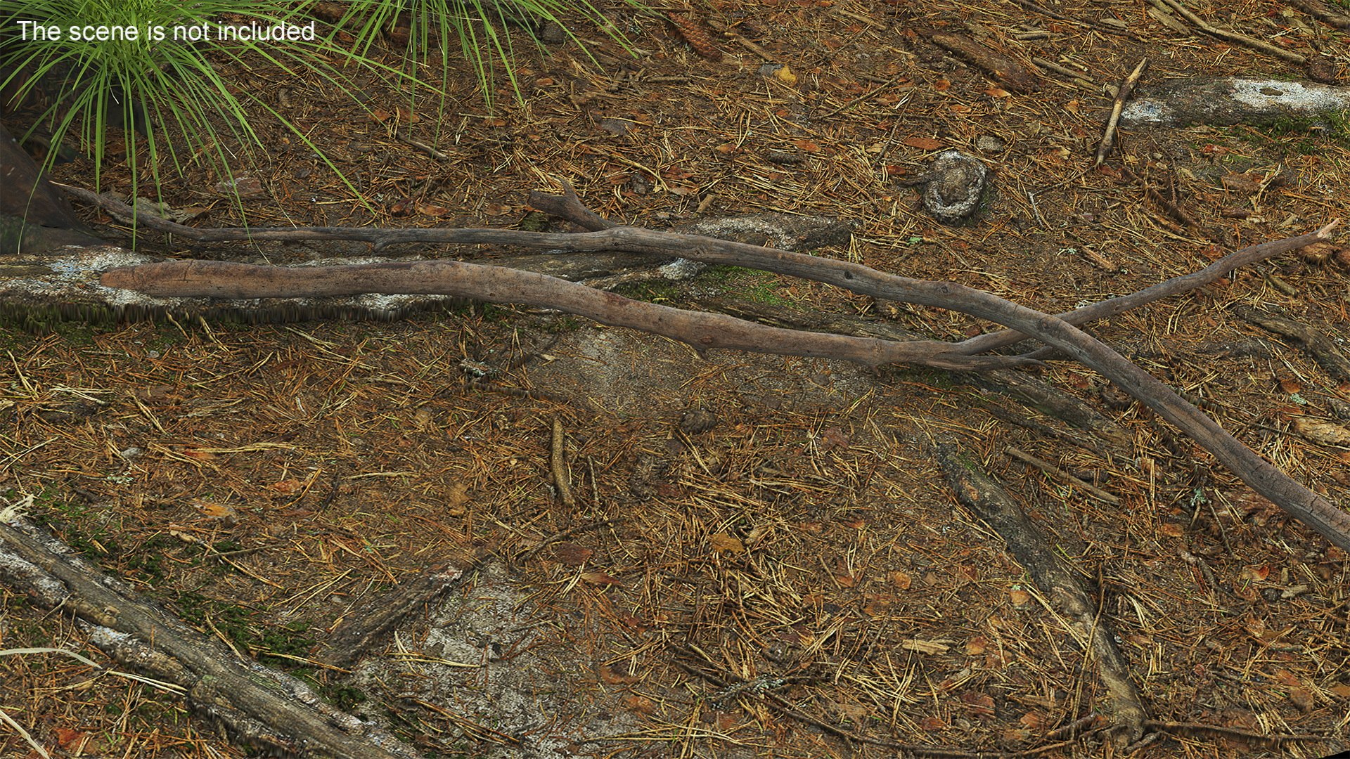 Dry Branch 3D Model - TurboSquid 2274439