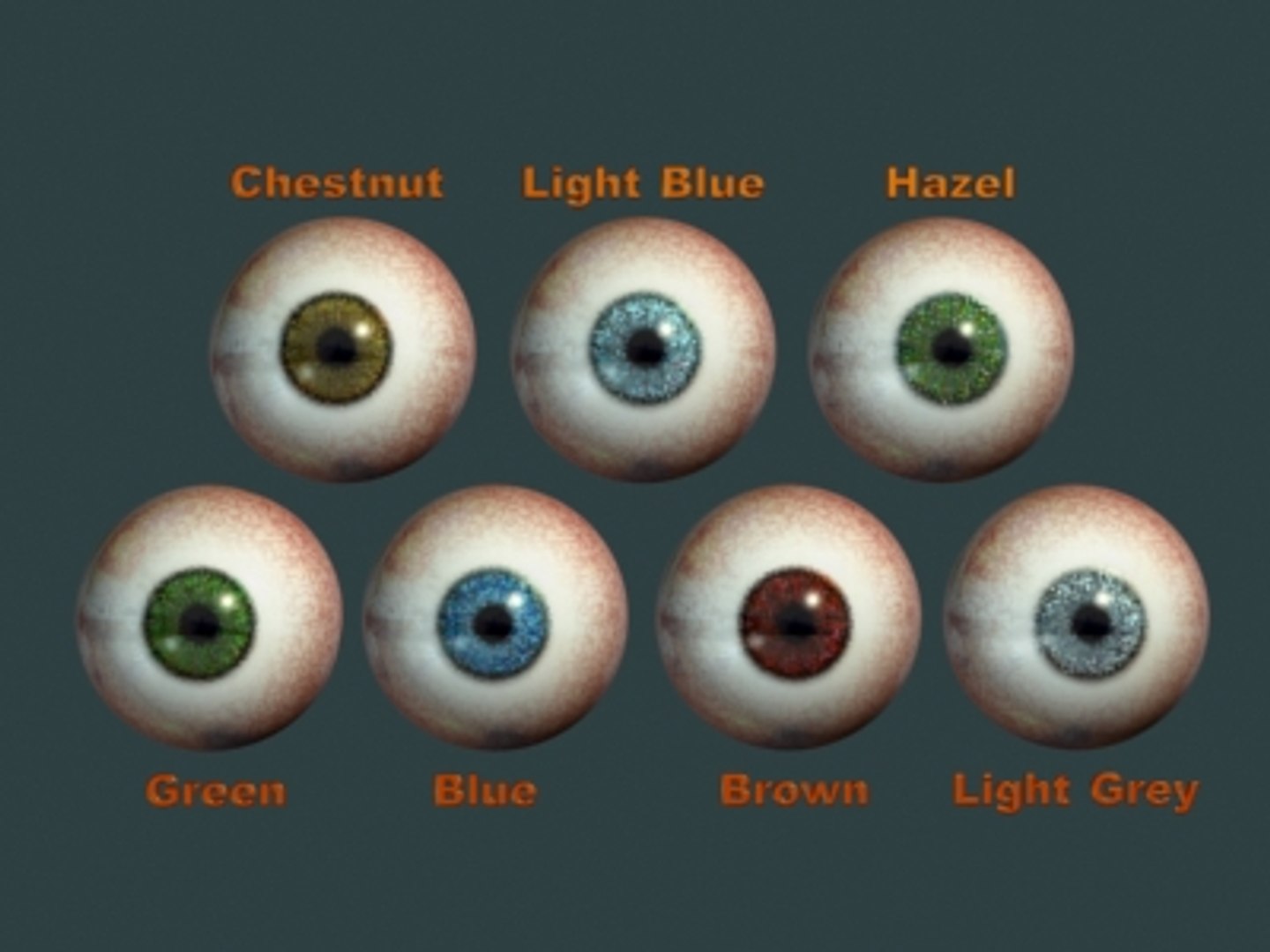 Eyes Pupil 3d Model