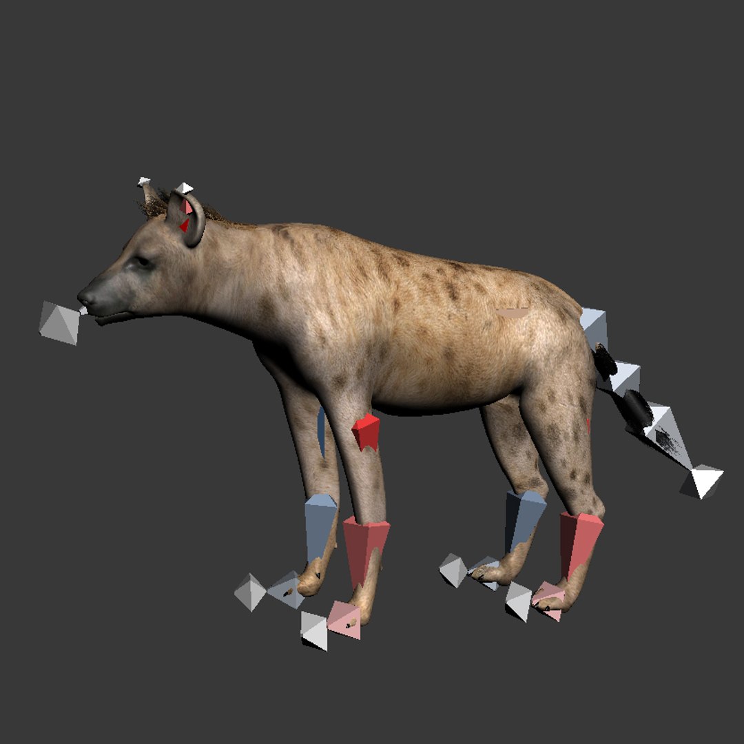 3d Hyena Rigged Animation