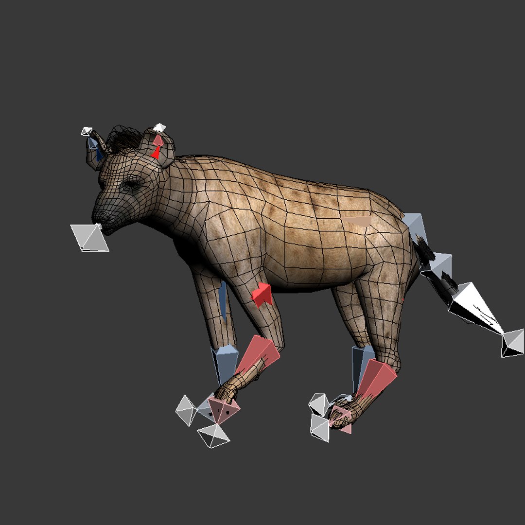 3d Hyena Rigged Animation