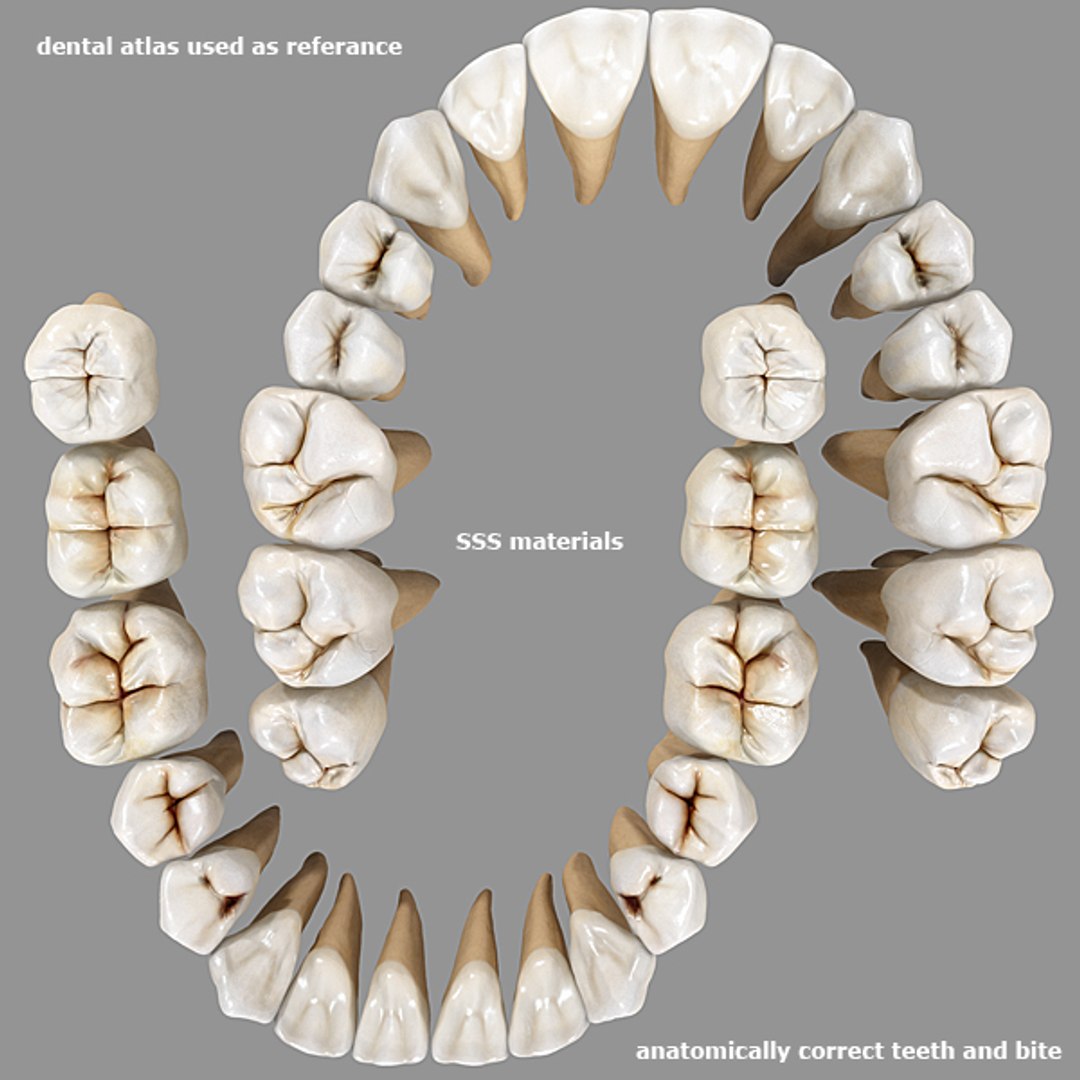 Mouth Teeth 5 V3 Max