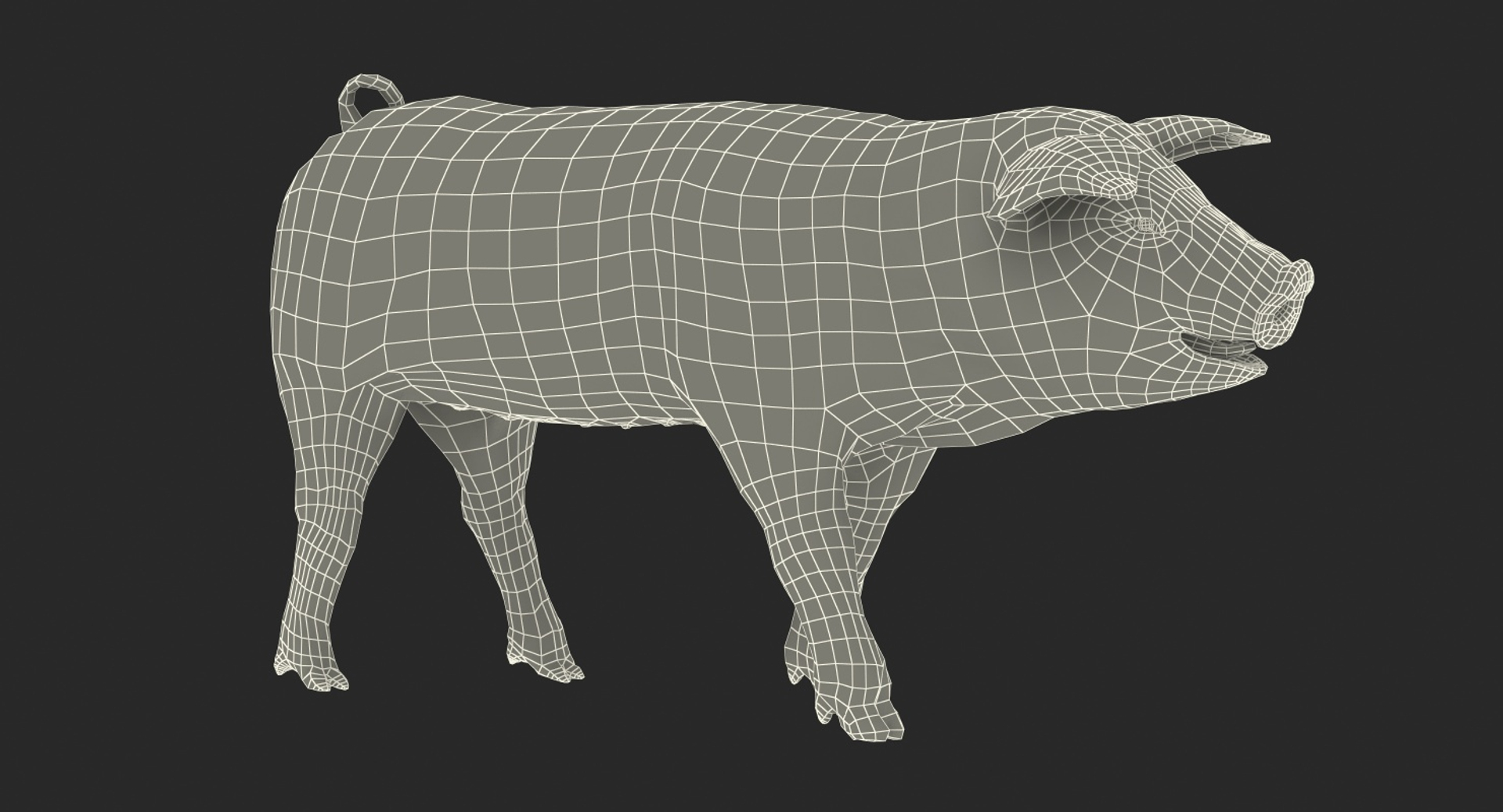 3D Pig Piglet Landrace Walking Model - TurboSquid 1357957