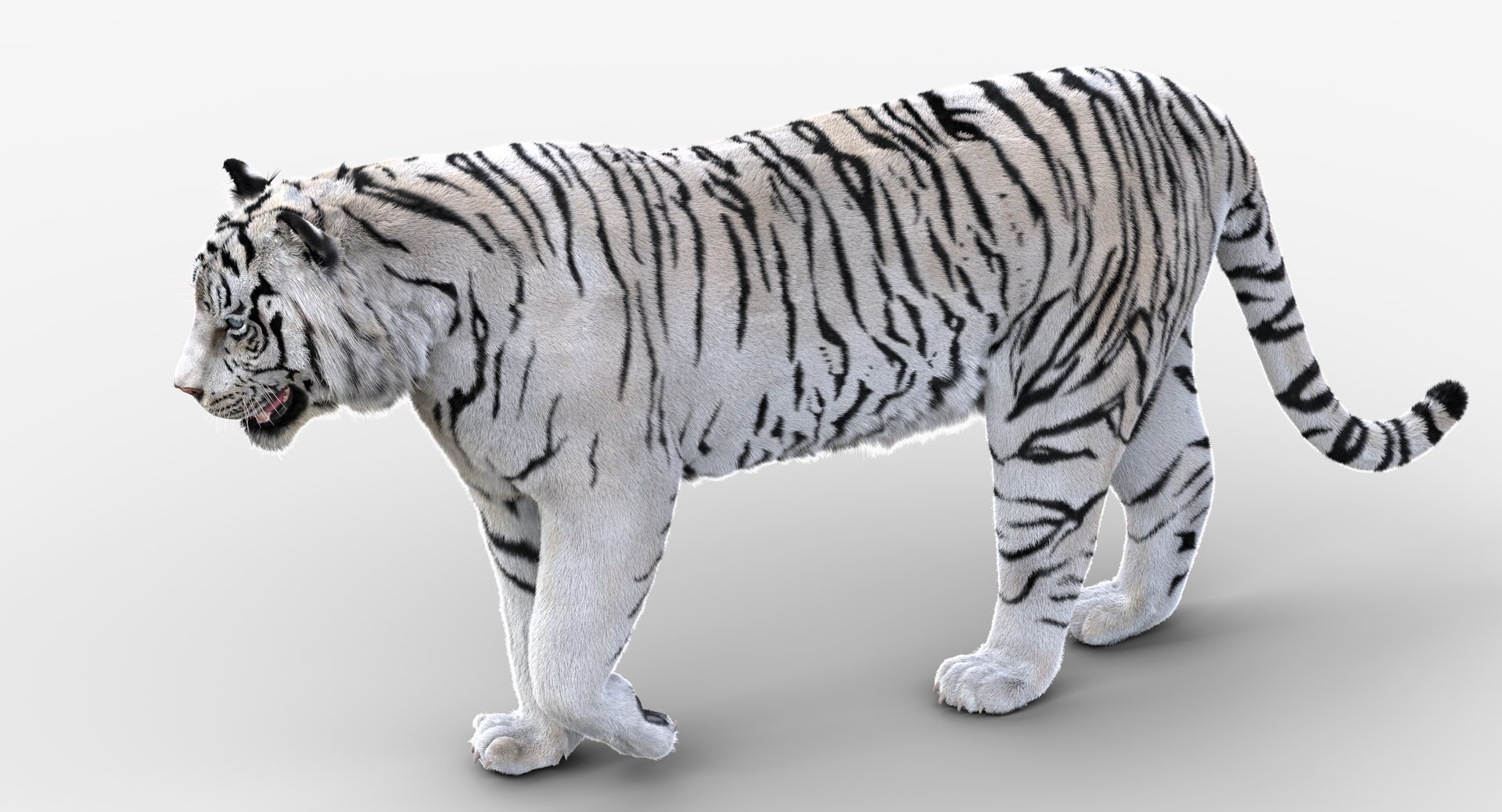 White TigerRigged FUR1 Model - TurboSquid 2250267
