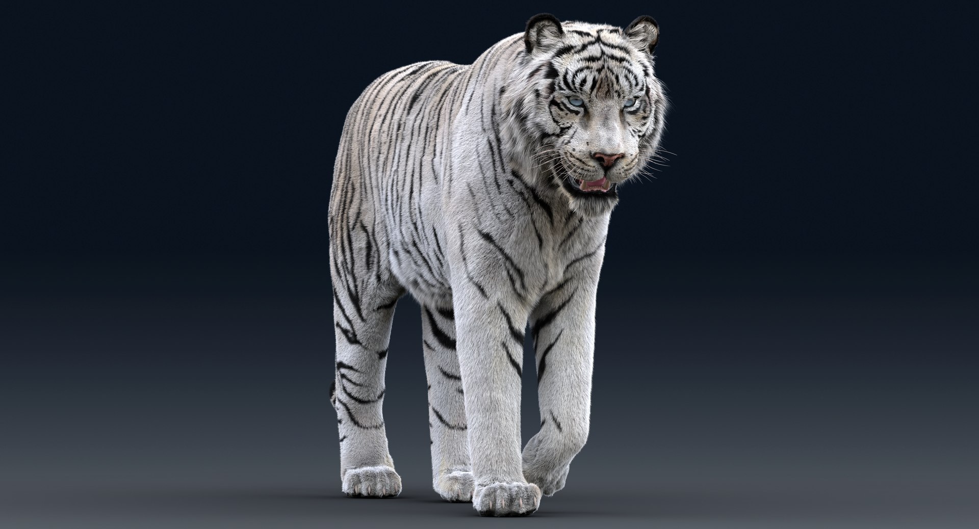 White TigerRigged FUR1 Model - TurboSquid 2250267