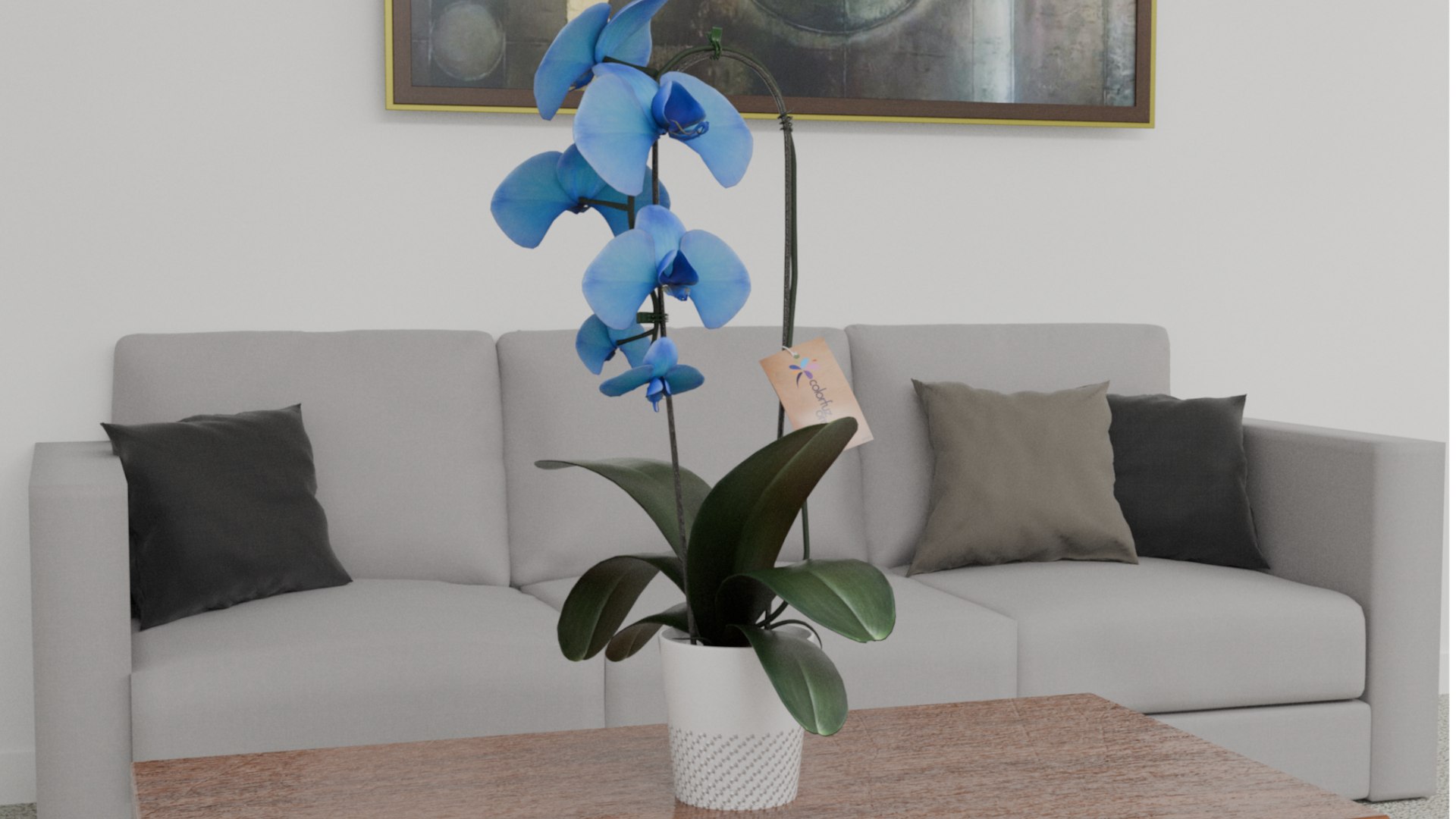 Orchid Pack 3D Model - TurboSquid 2321322