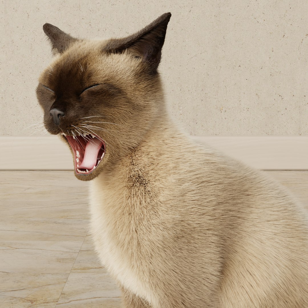 Cat Siamese Rigged Animated 3D - TurboSquid 2102283