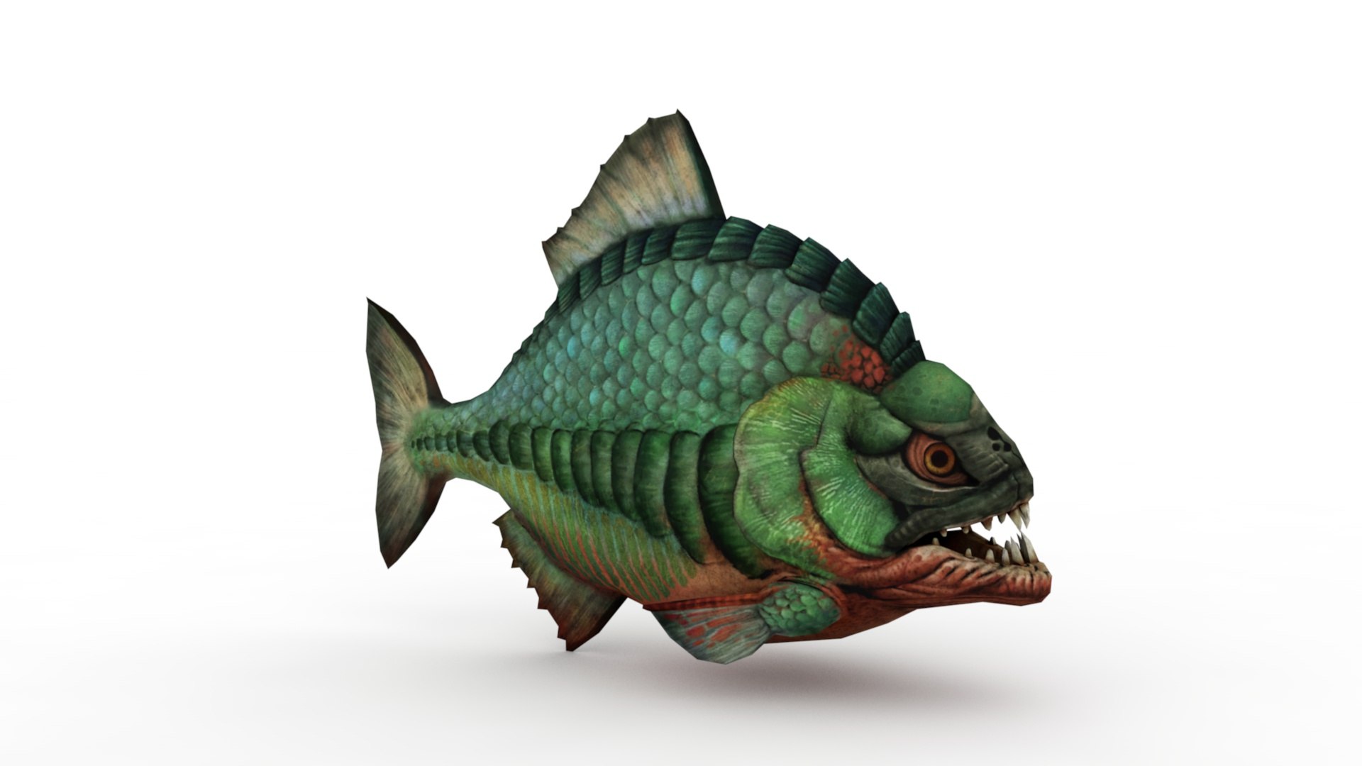 Piranha Fish Model - TurboSquid 2002645