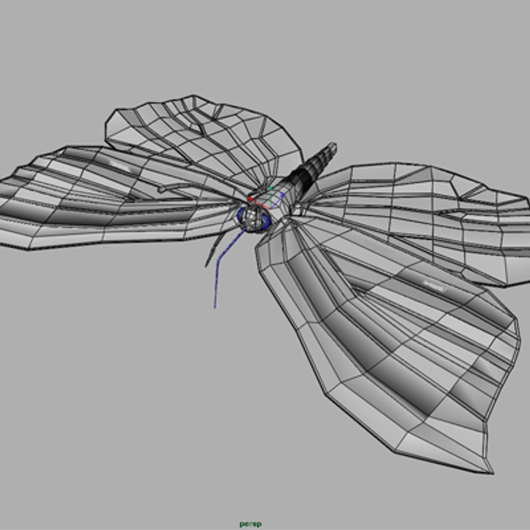 Ma Brimstone Butterfly Animation