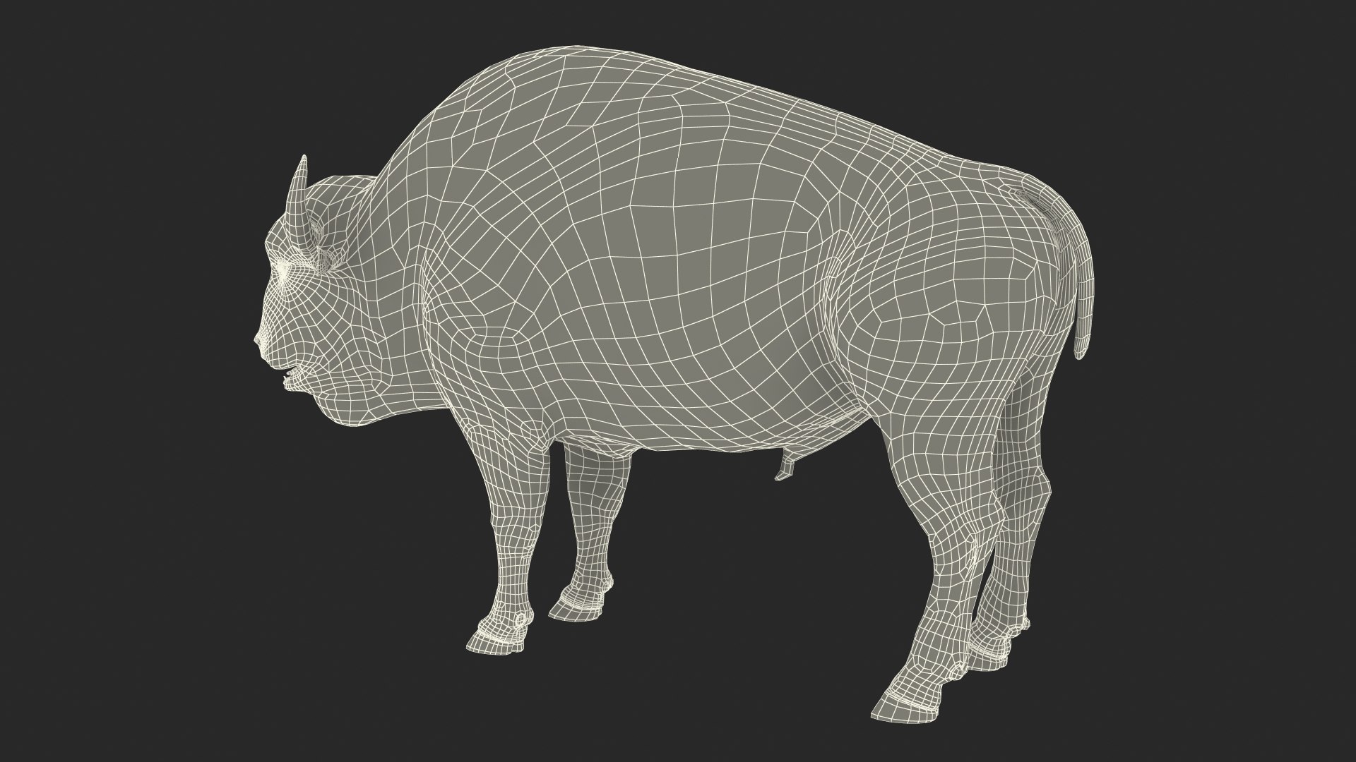 3D American Bison Bull - TurboSquid 2134073