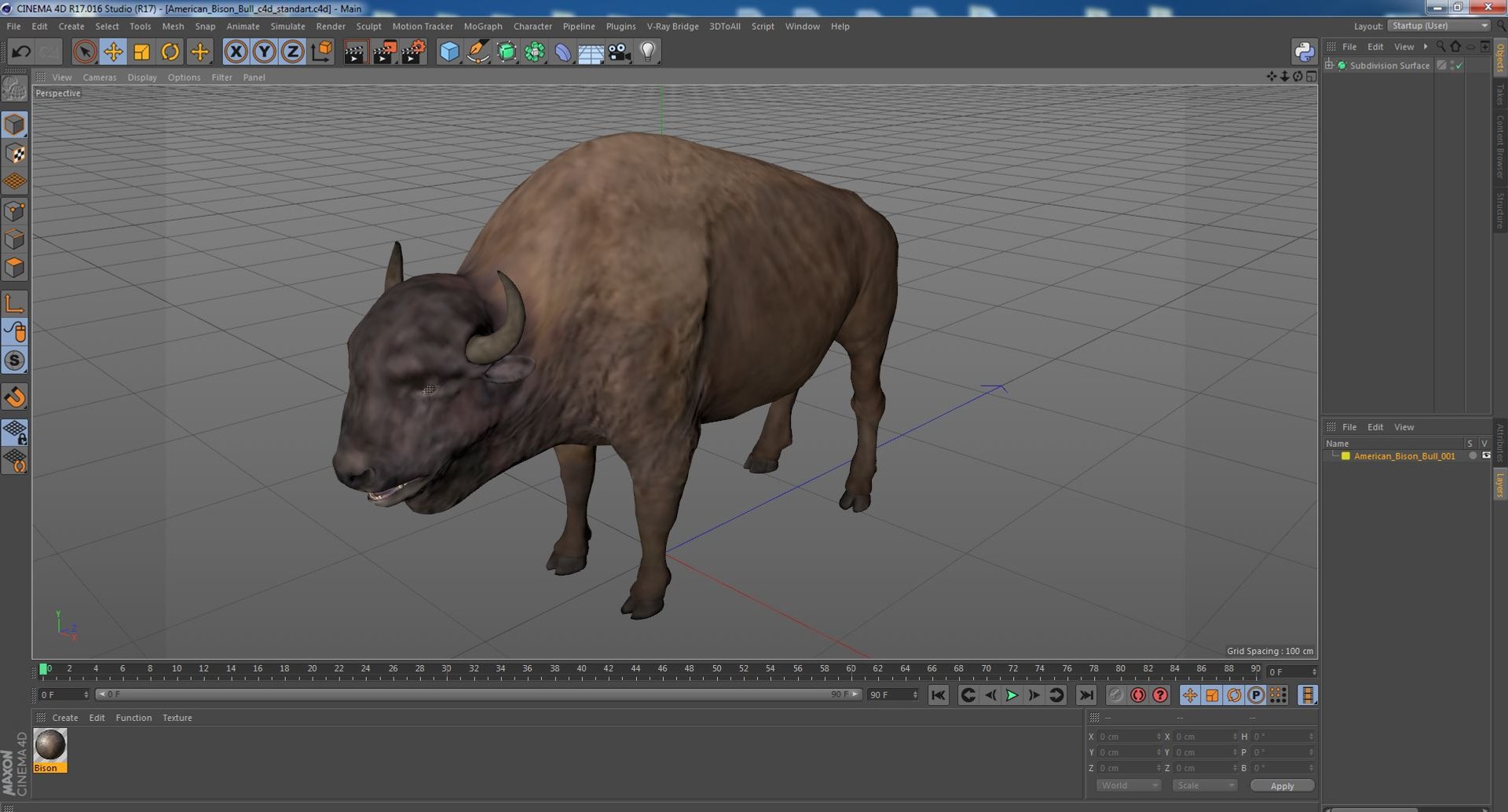 3D American Bison Bull - TurboSquid 2134073