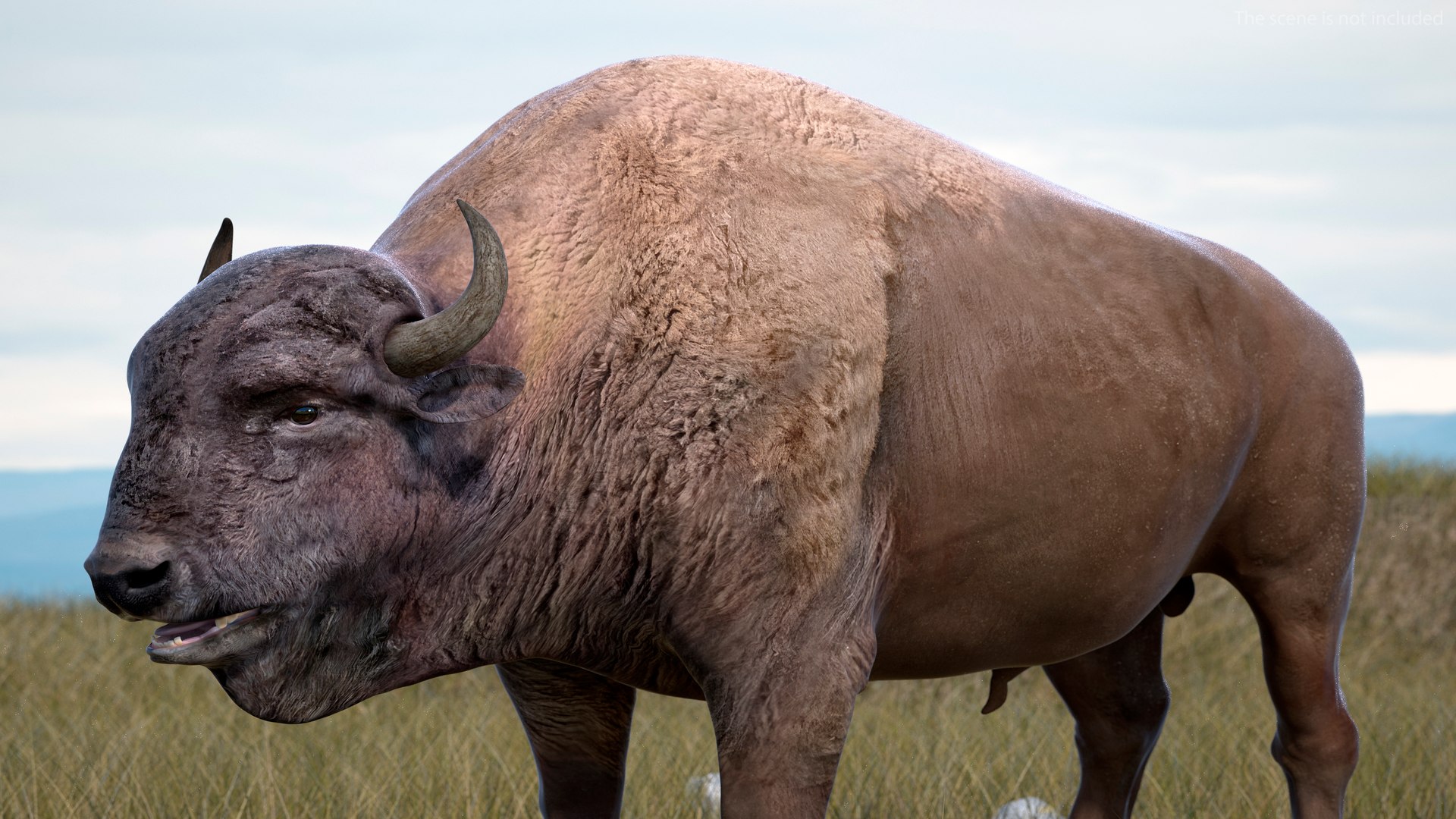 3D American Bison Bull - TurboSquid 2134073