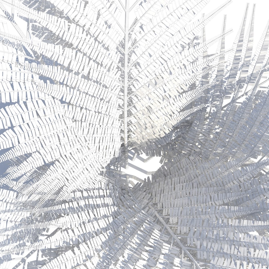 3D fern wind - TurboSquid 1243393