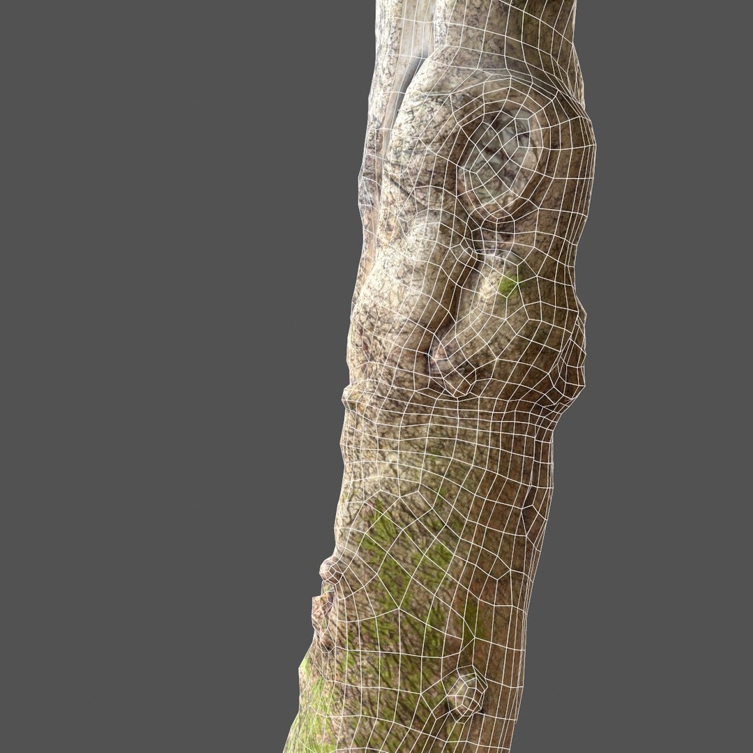 Tree Asset 3d Obj