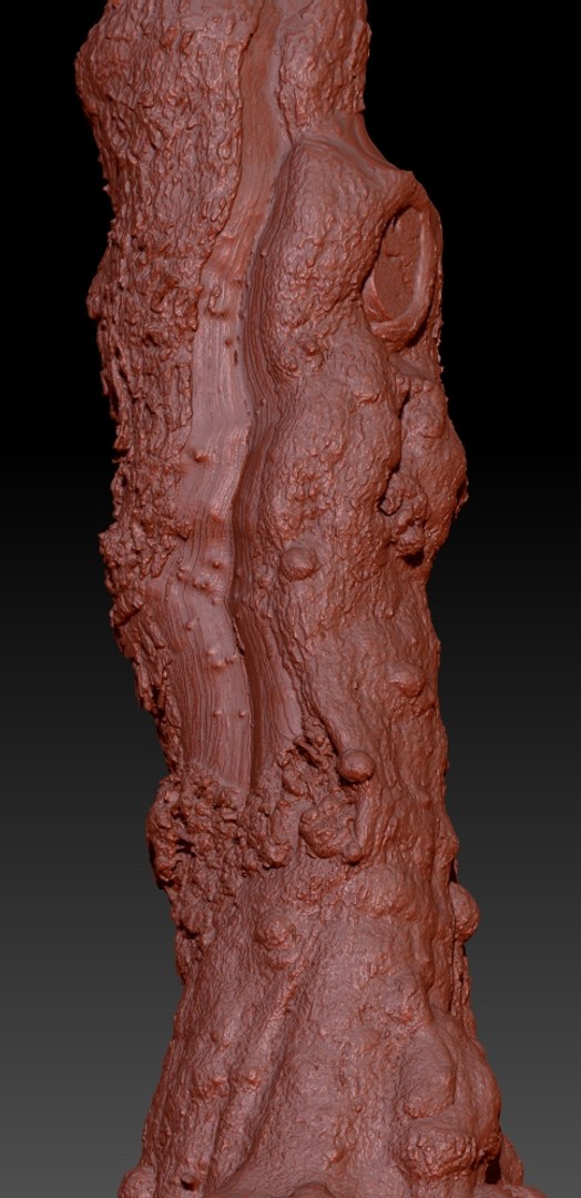 Tree Asset 3d Obj