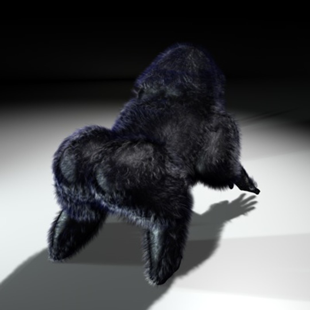 Monkey Rigged Haired 3d Model