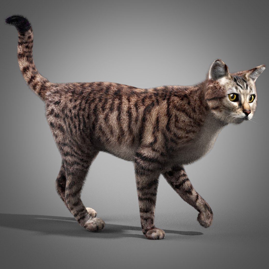 3d model cat fur