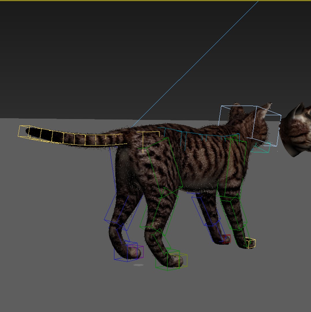 3d Model Cat Fur