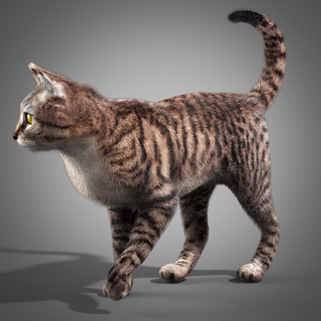 3d model cat fur
