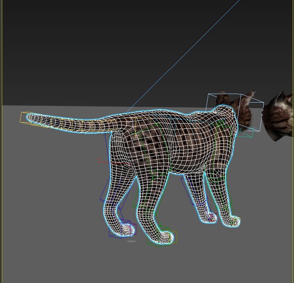 3d model cat fur