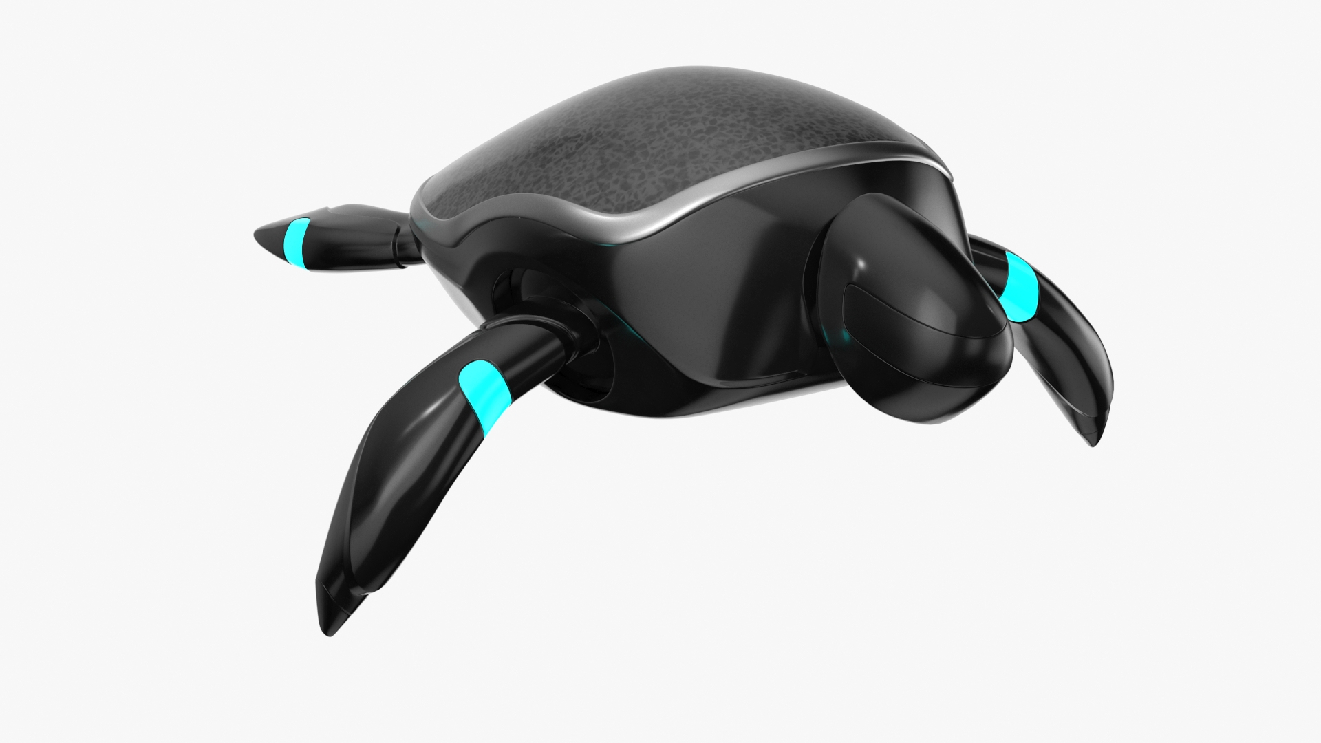 Robot Turtle Black 3D - TurboSquid 2469016