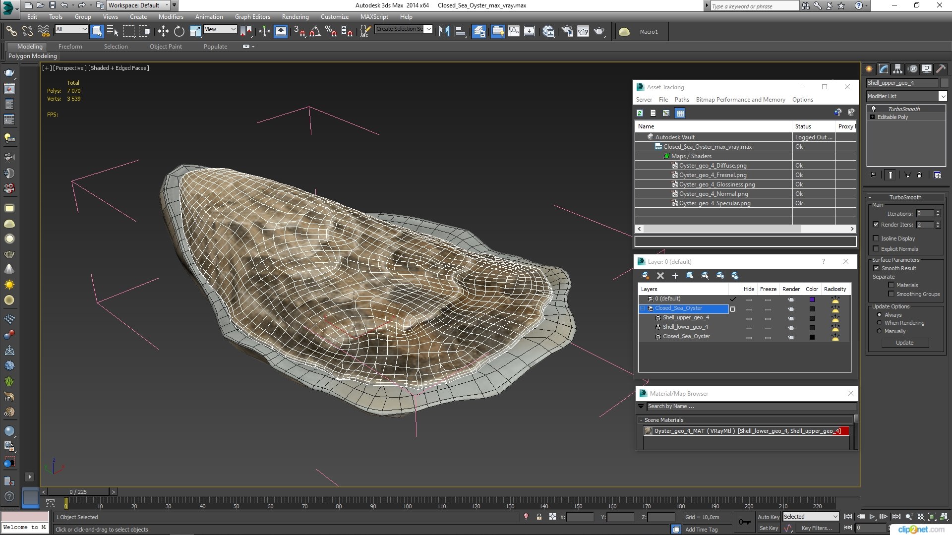 Closed Sea Oyster 3D Model - TurboSquid 2262528