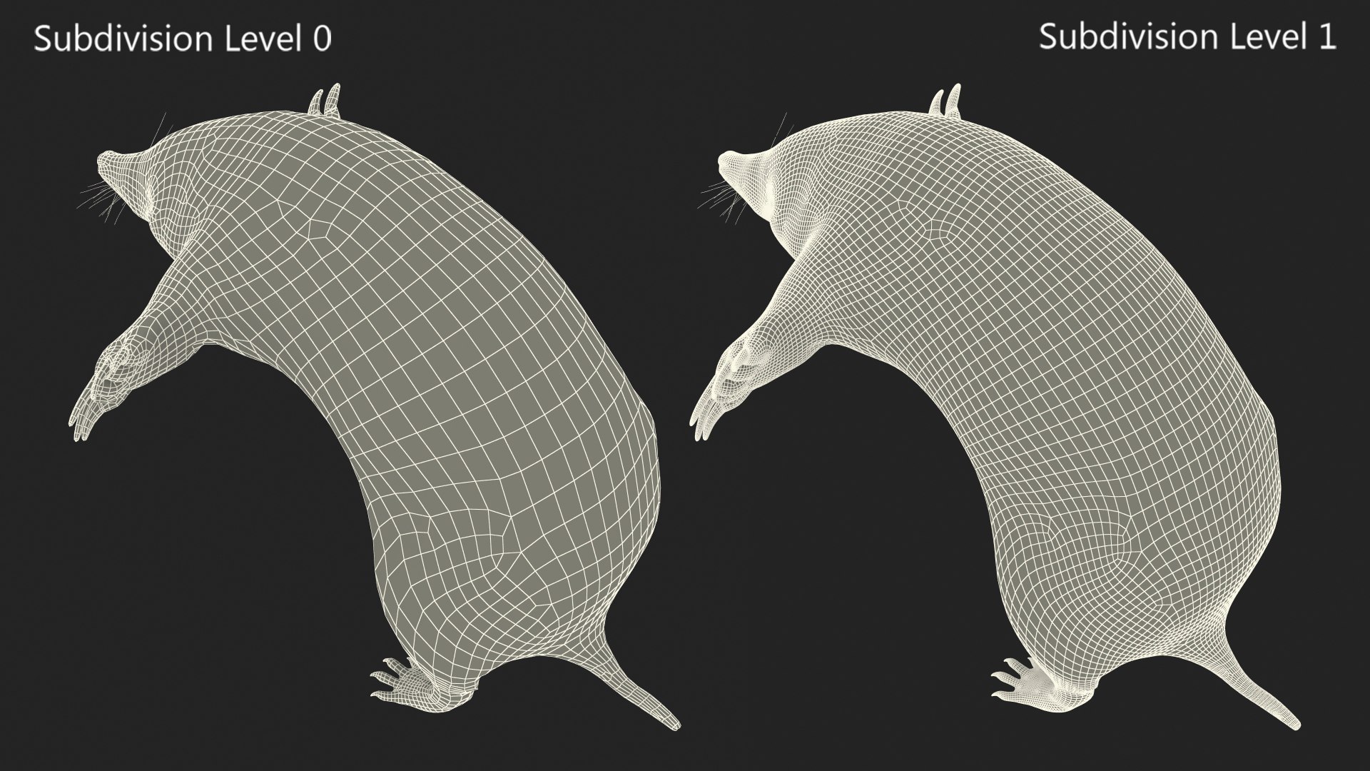 Burrowing Mole Fur Model - TurboSquid 2220847