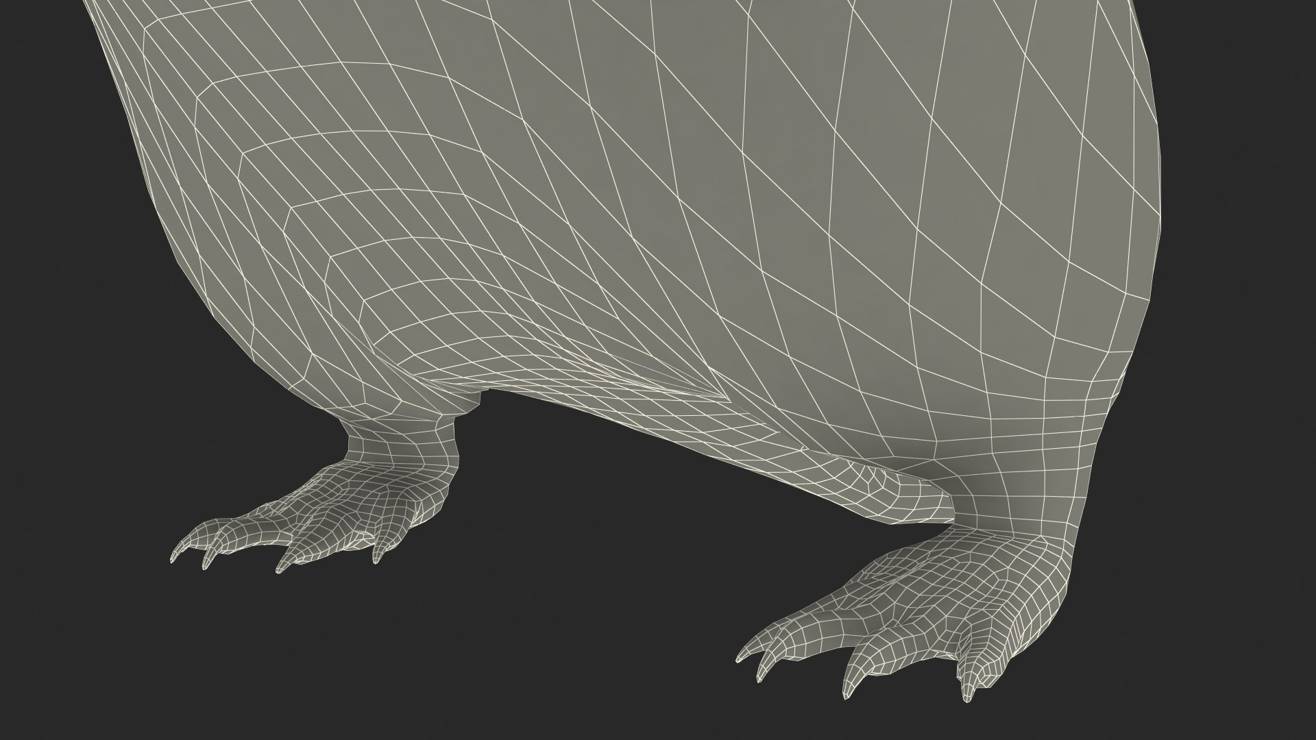 Burrowing Mole Fur Model - TurboSquid 2220847