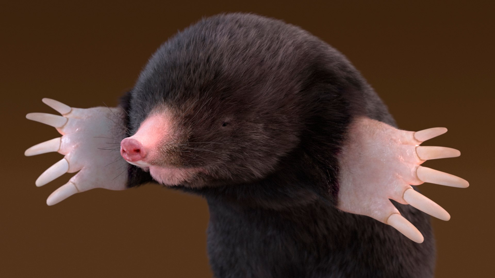 Burrowing Mole Fur Model - TurboSquid 2220847