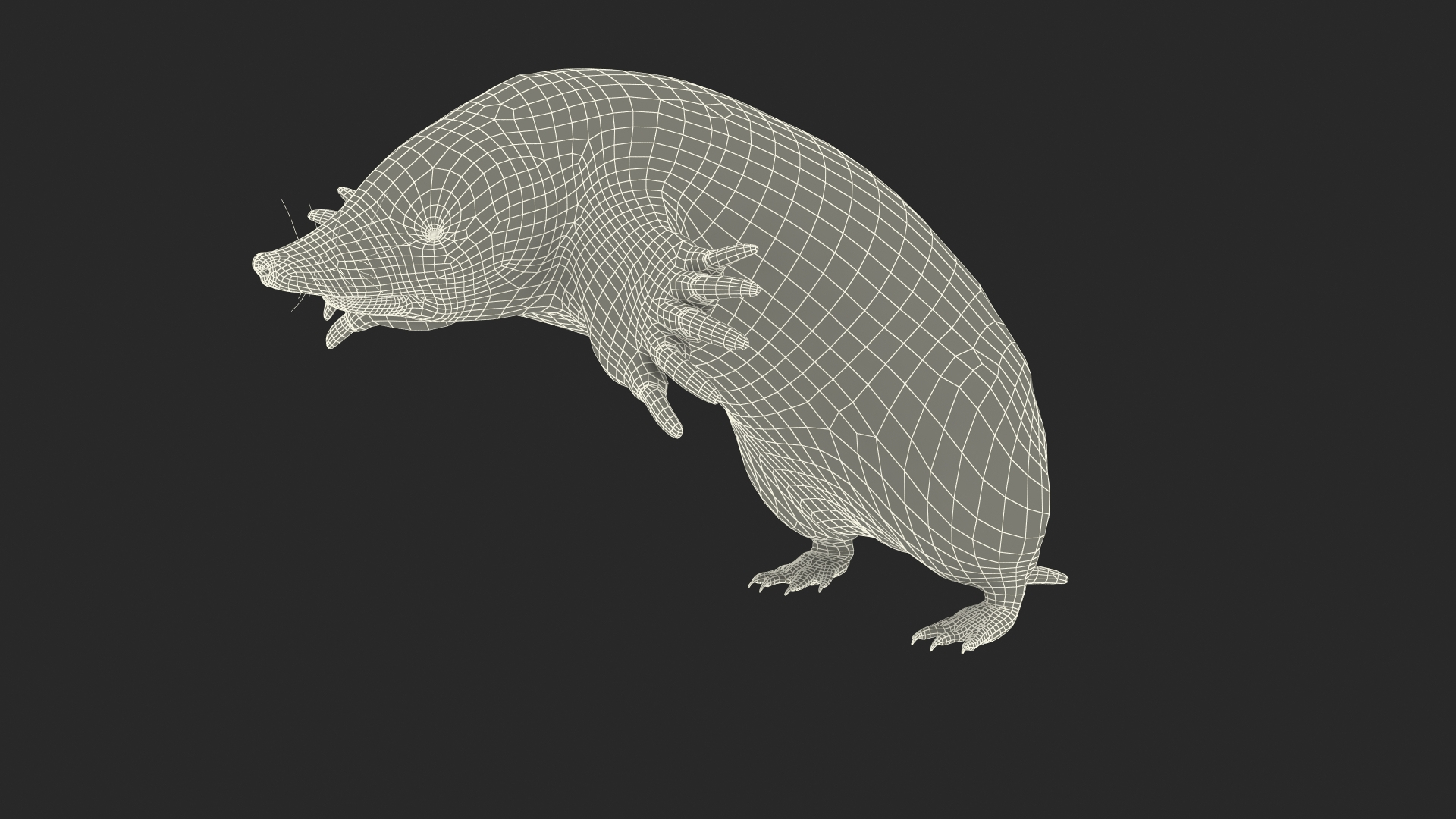 Burrowing Mole Fur Model - TurboSquid 2220847