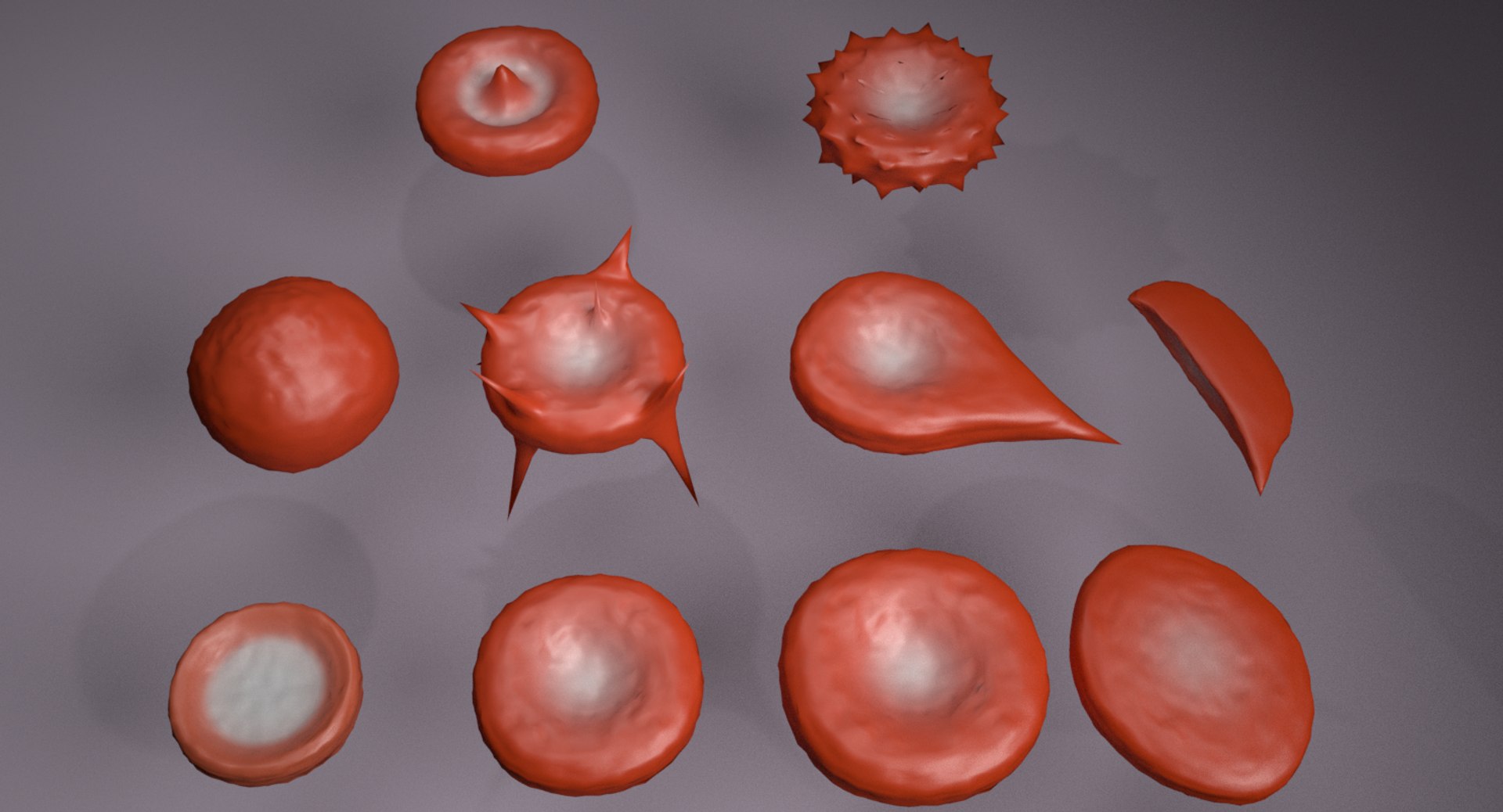 Red Blood 3D Model - TurboSquid 1343563