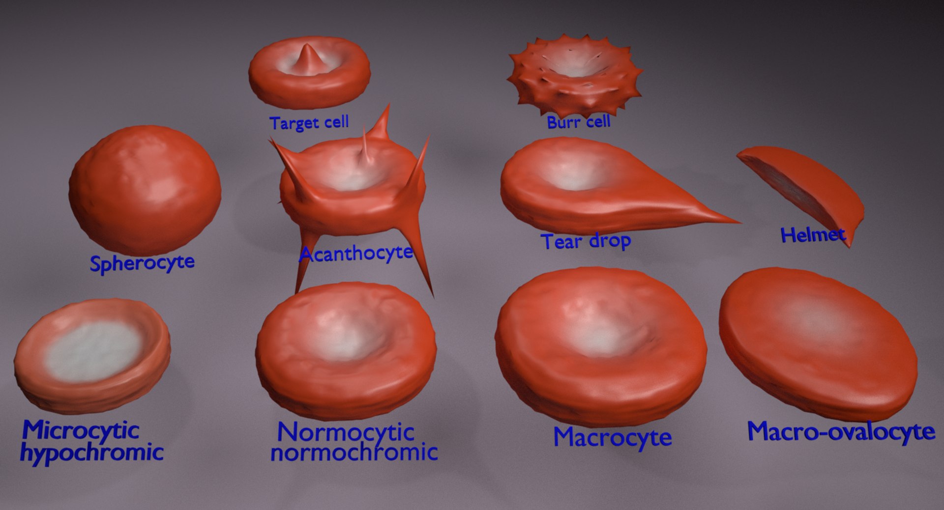 Red Blood 3D Model - TurboSquid 1343563
