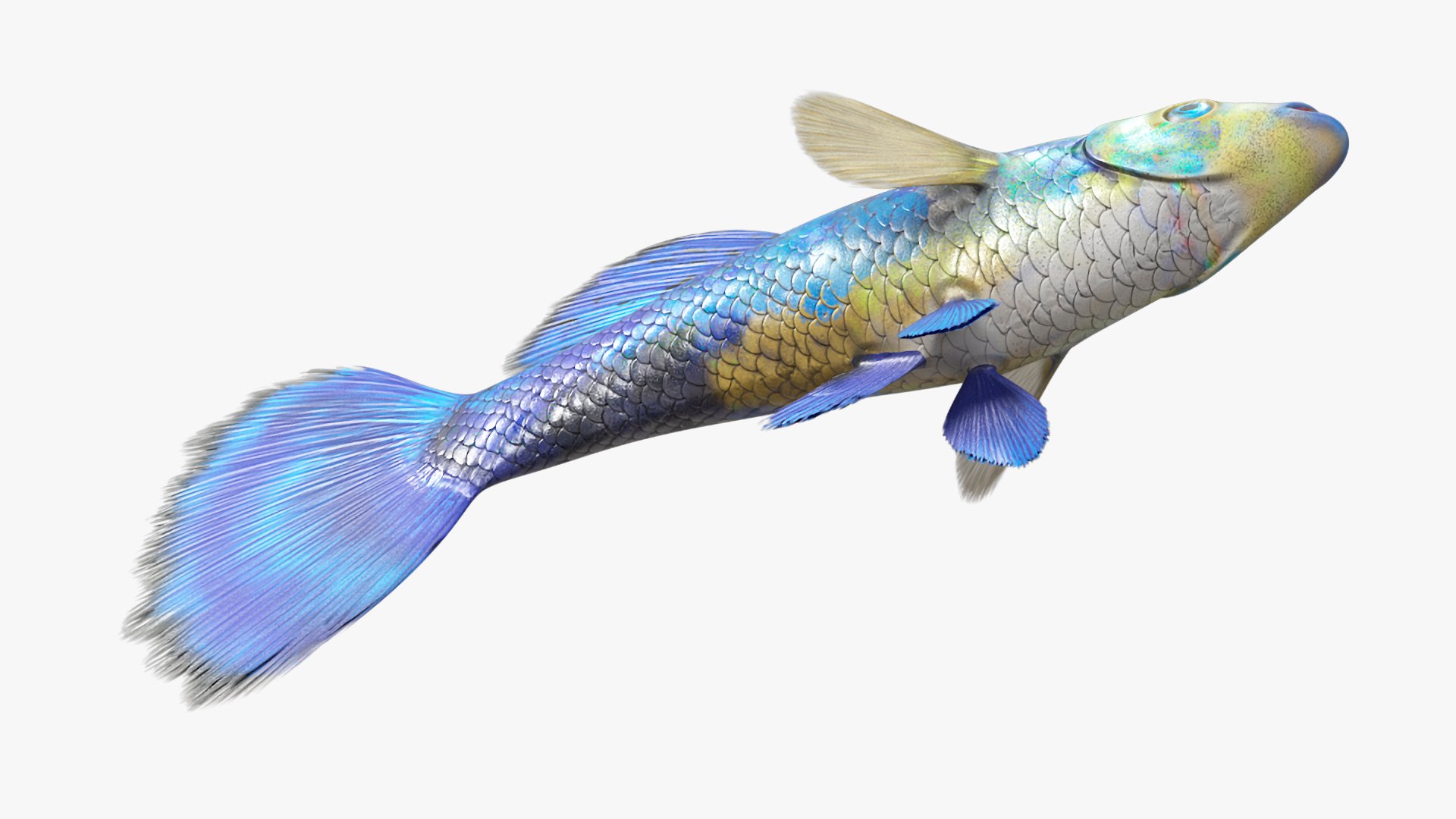 3D Guppy Fish Blue Diamond - TurboSquid 2269964