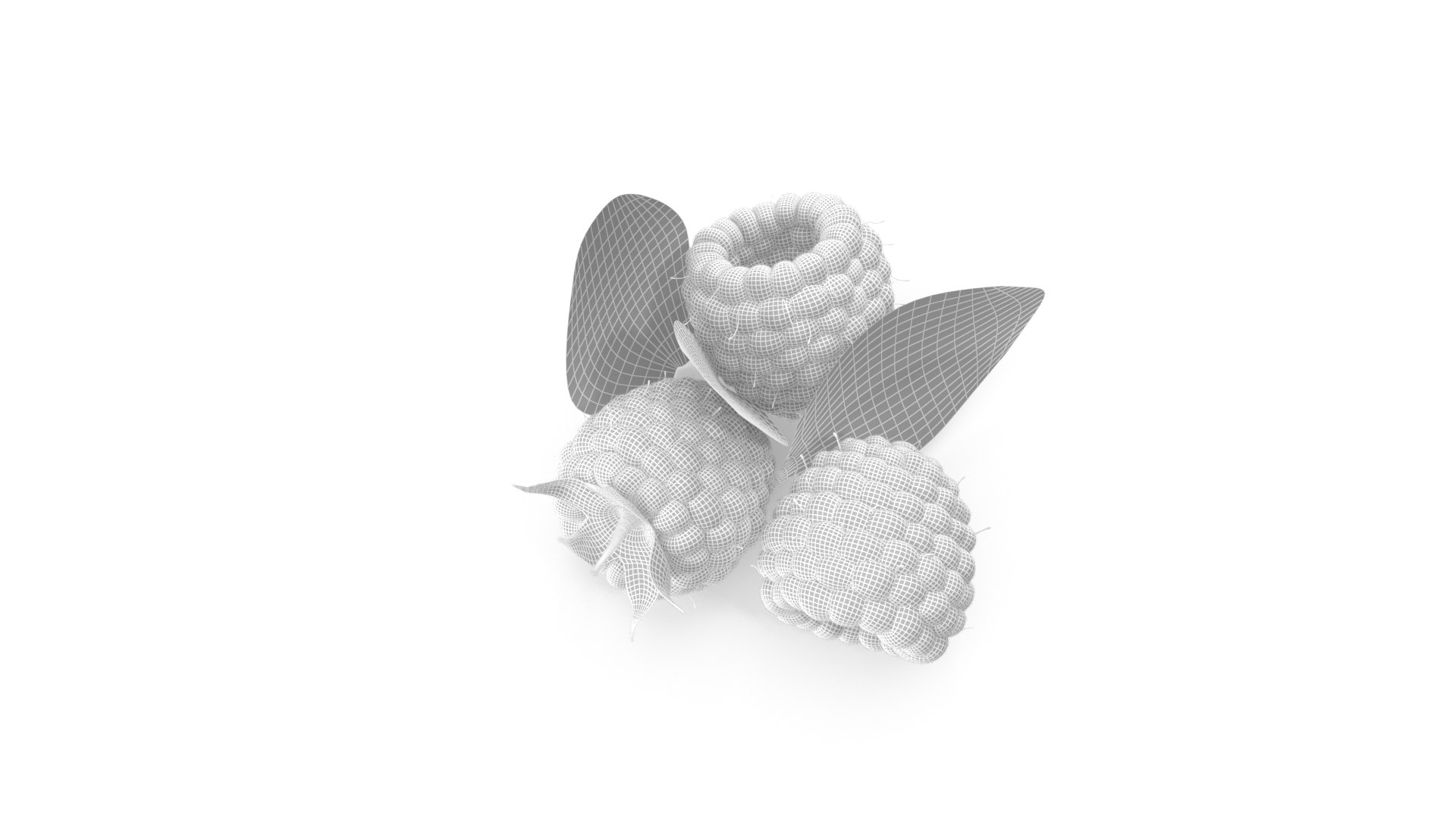 Realistic Raspberry 3D Model - TurboSquid 2016355