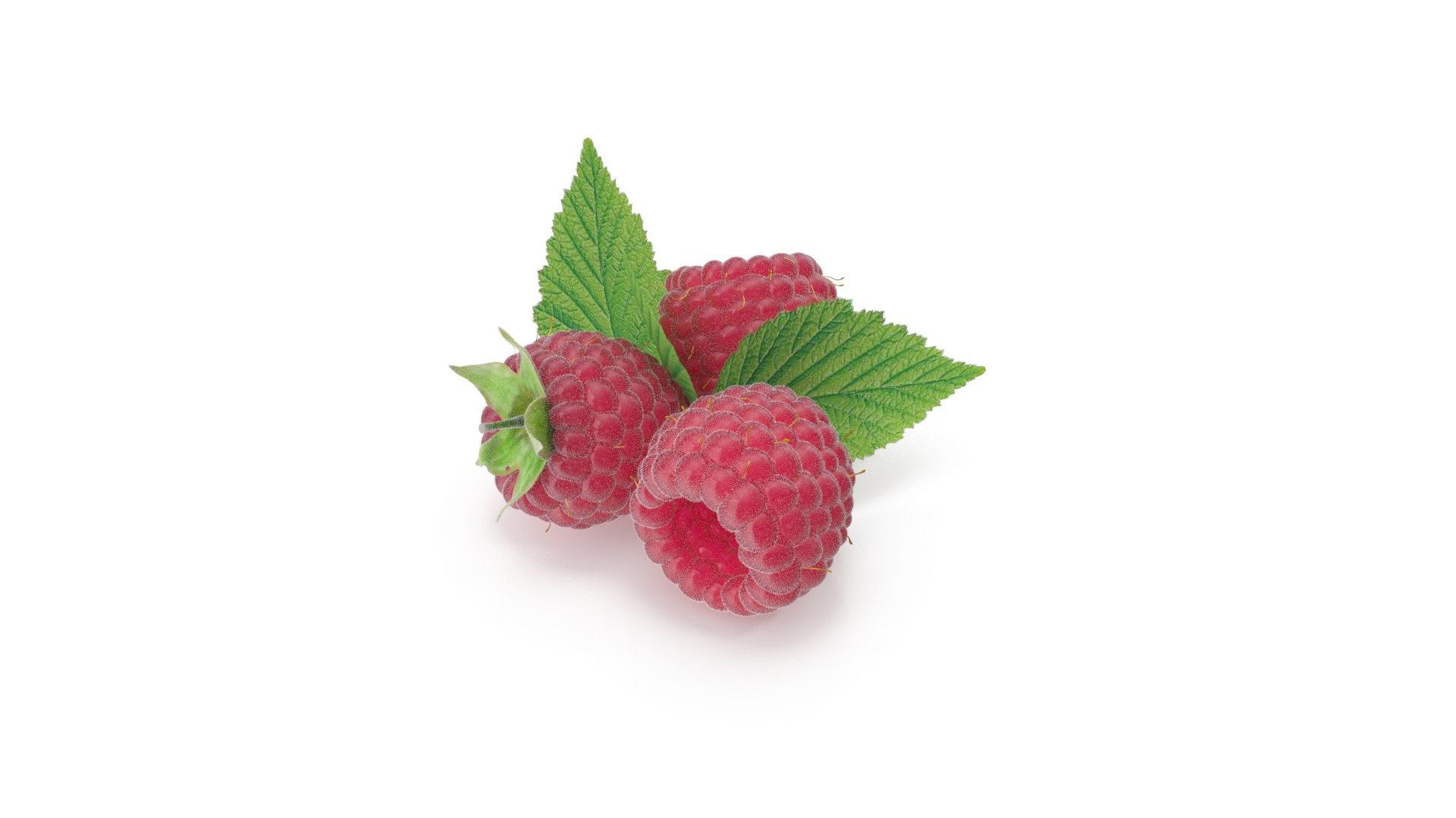 Realistic Raspberry 3D Model - TurboSquid 2016355