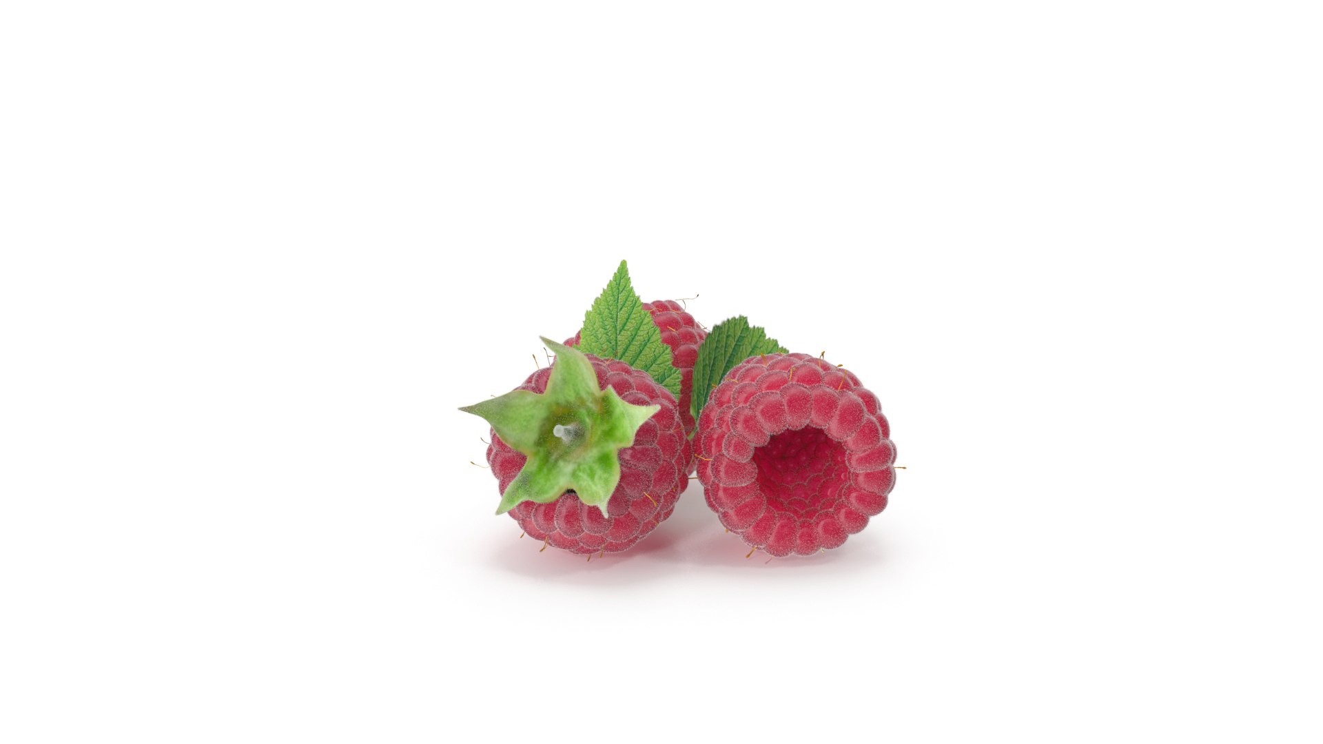Realistic Raspberry 3D Model - TurboSquid 2016355