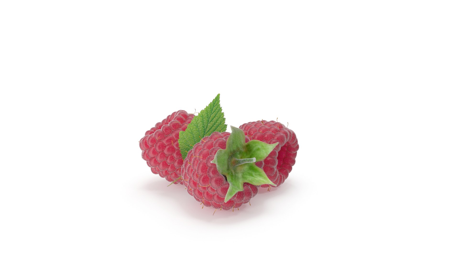 Realistic Raspberry 3D Model - TurboSquid 2016355